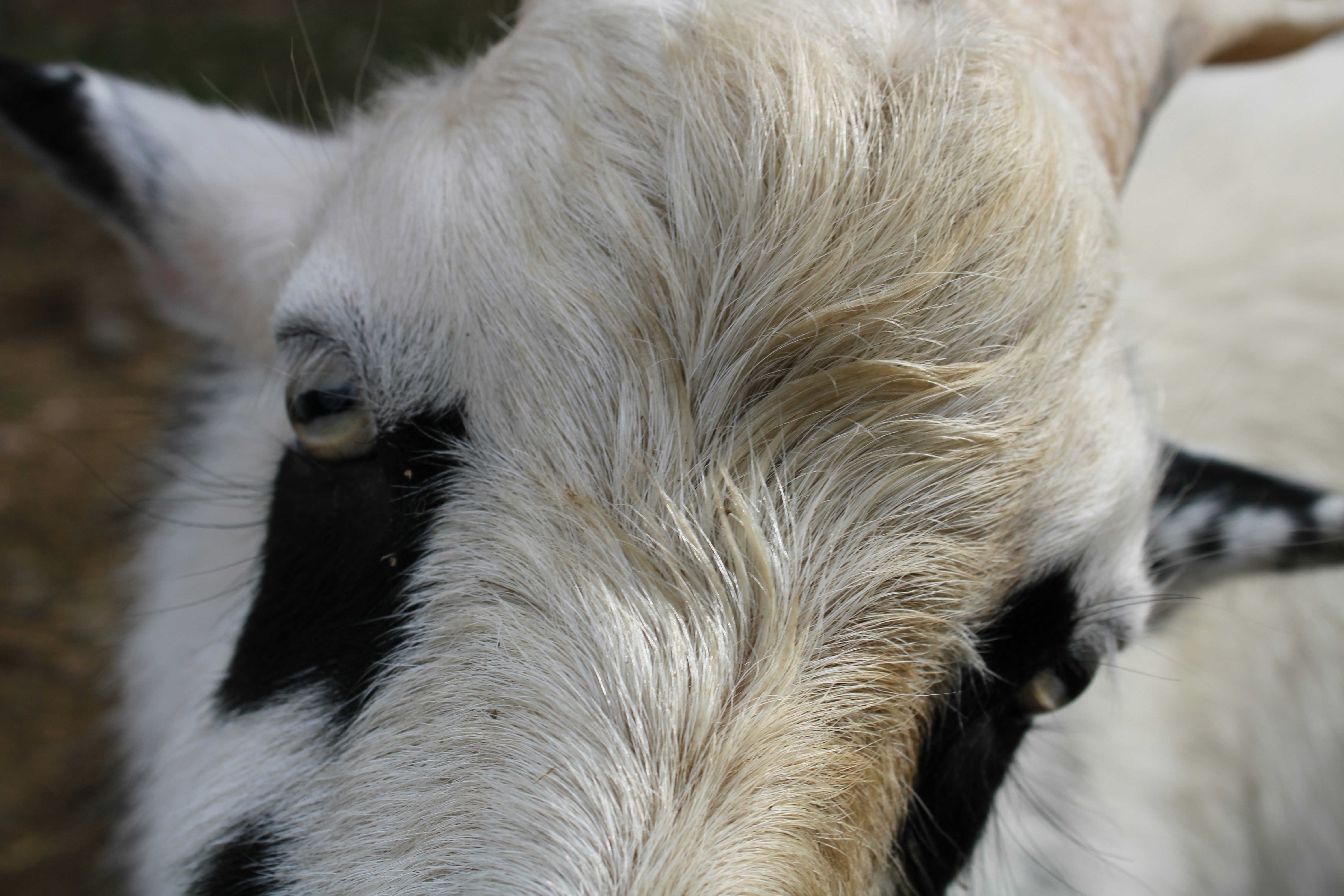 Photo by Ava Buckner with Canon EOS 2000D