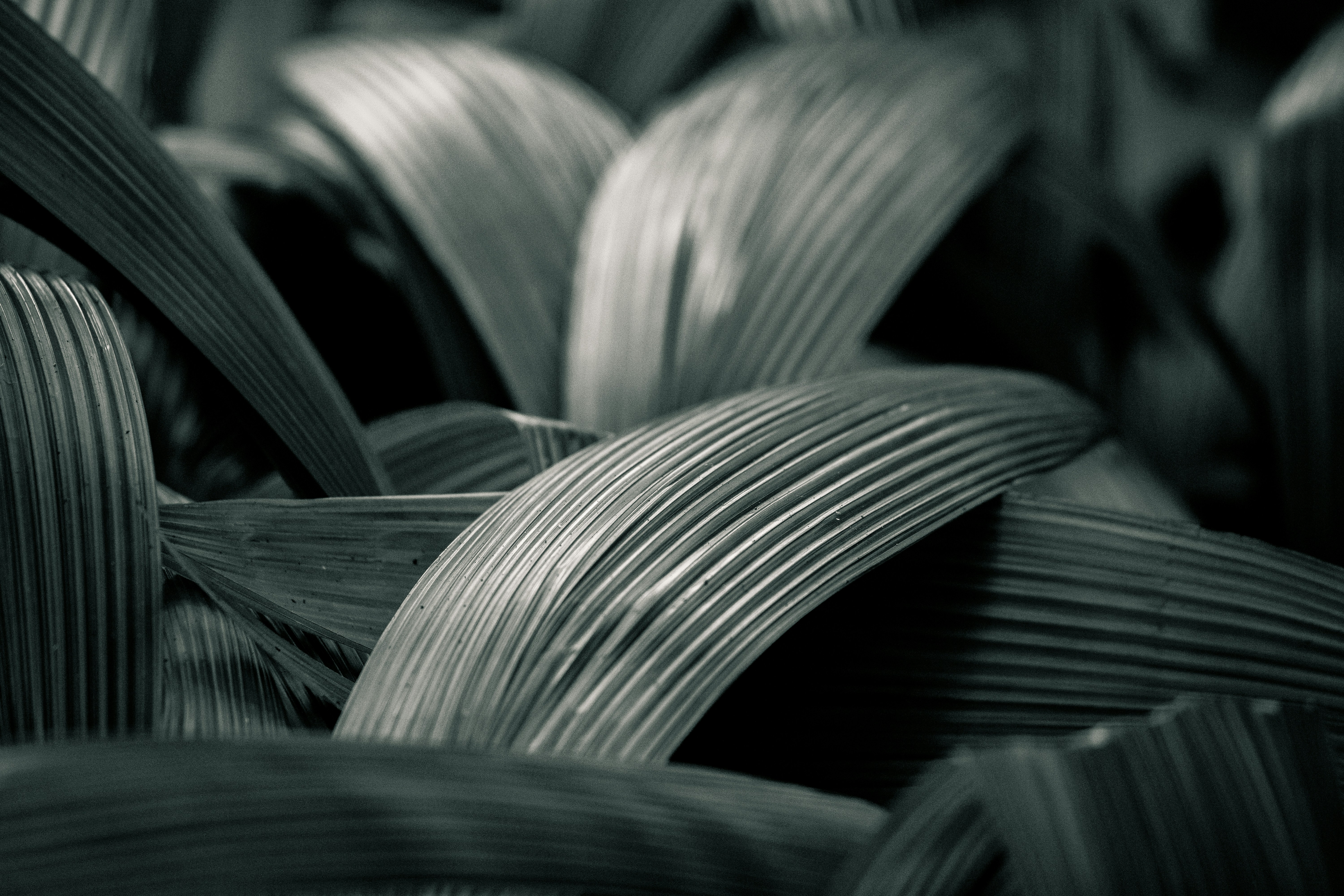 Photo by Garrett Schmid with Sony Alpha 7 II