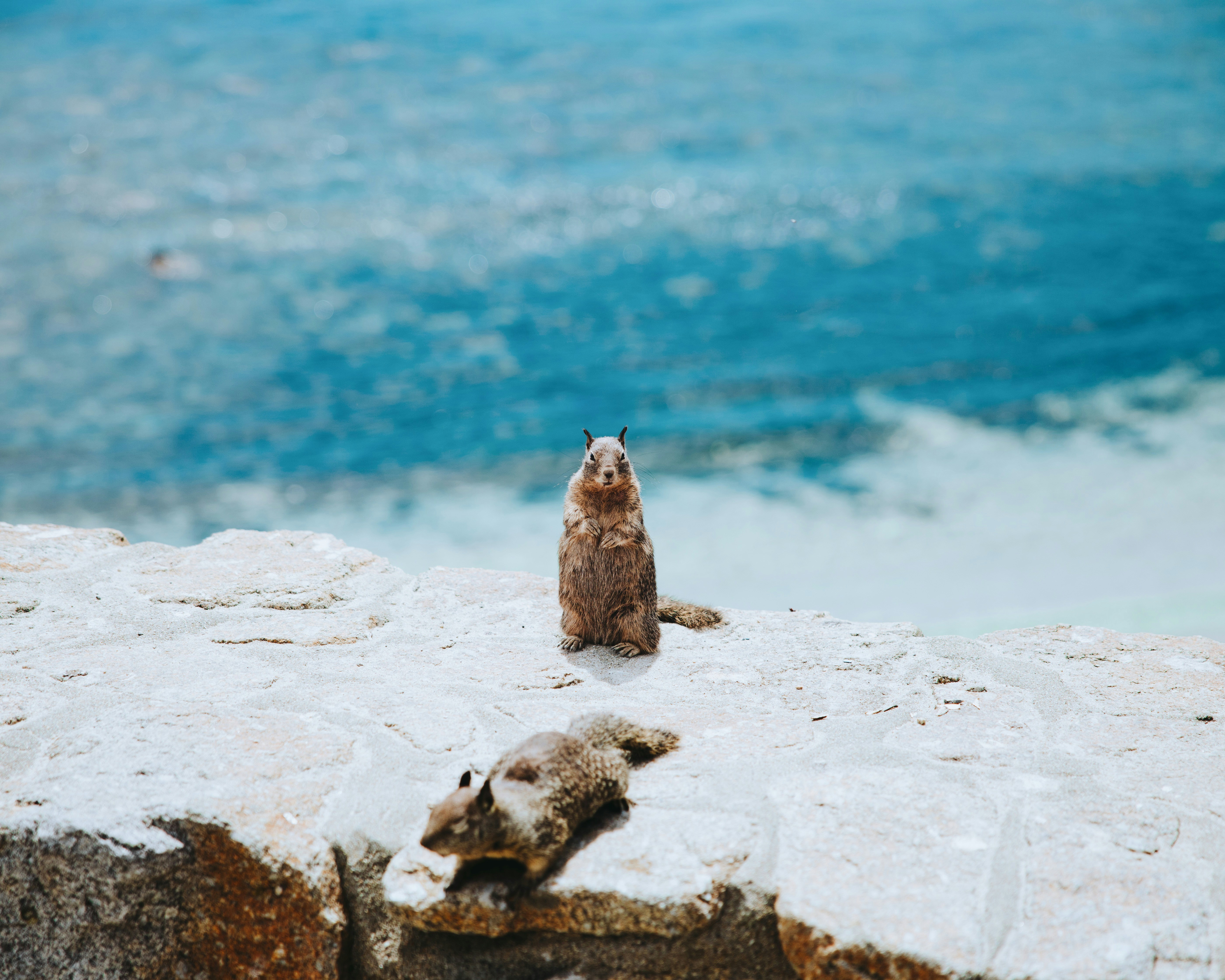 Photo by noelle with Canon EOS R