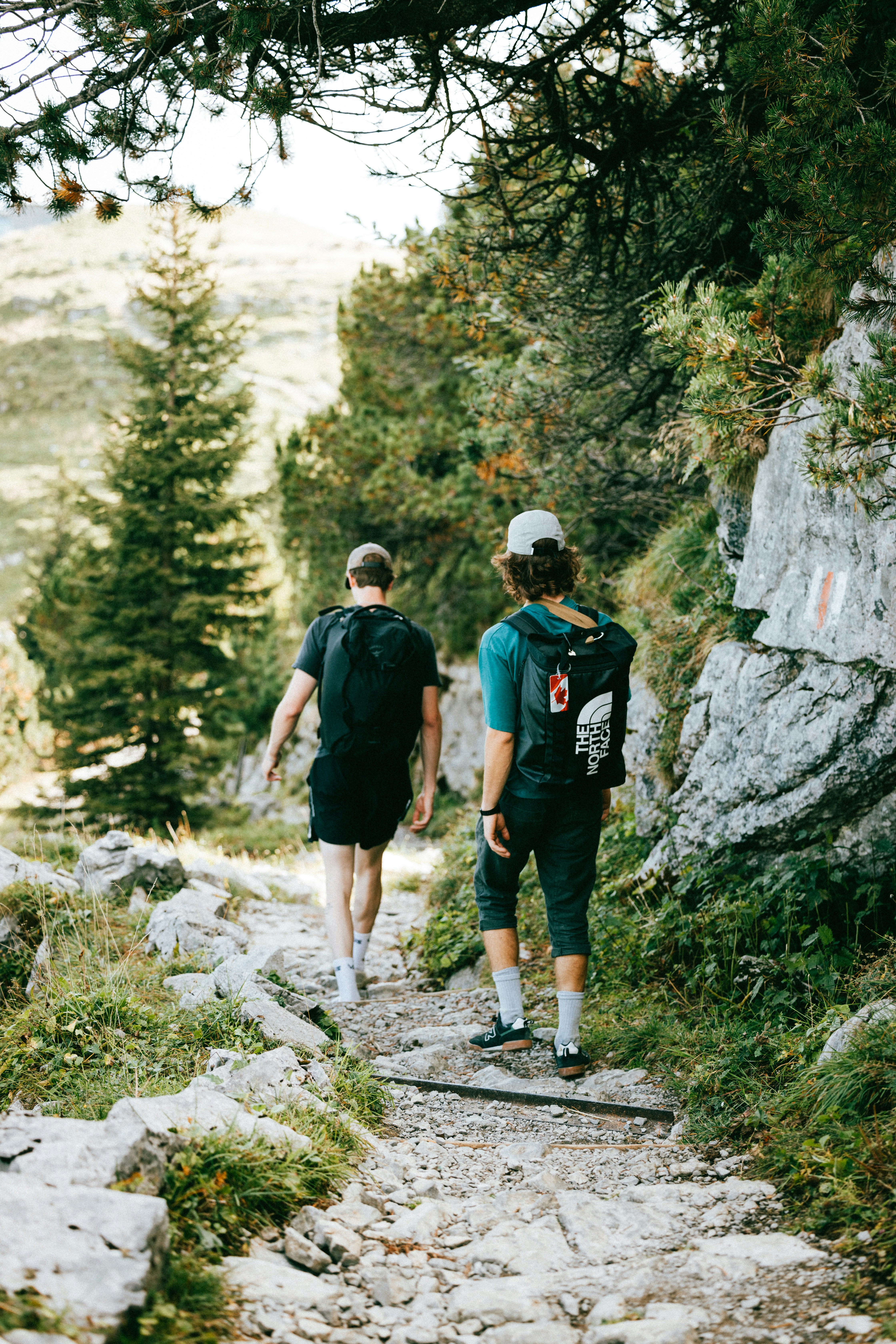 A small group of hikers makes its way down a narrow alpine trail bordered by pines and rocks in the Swiss Alps.