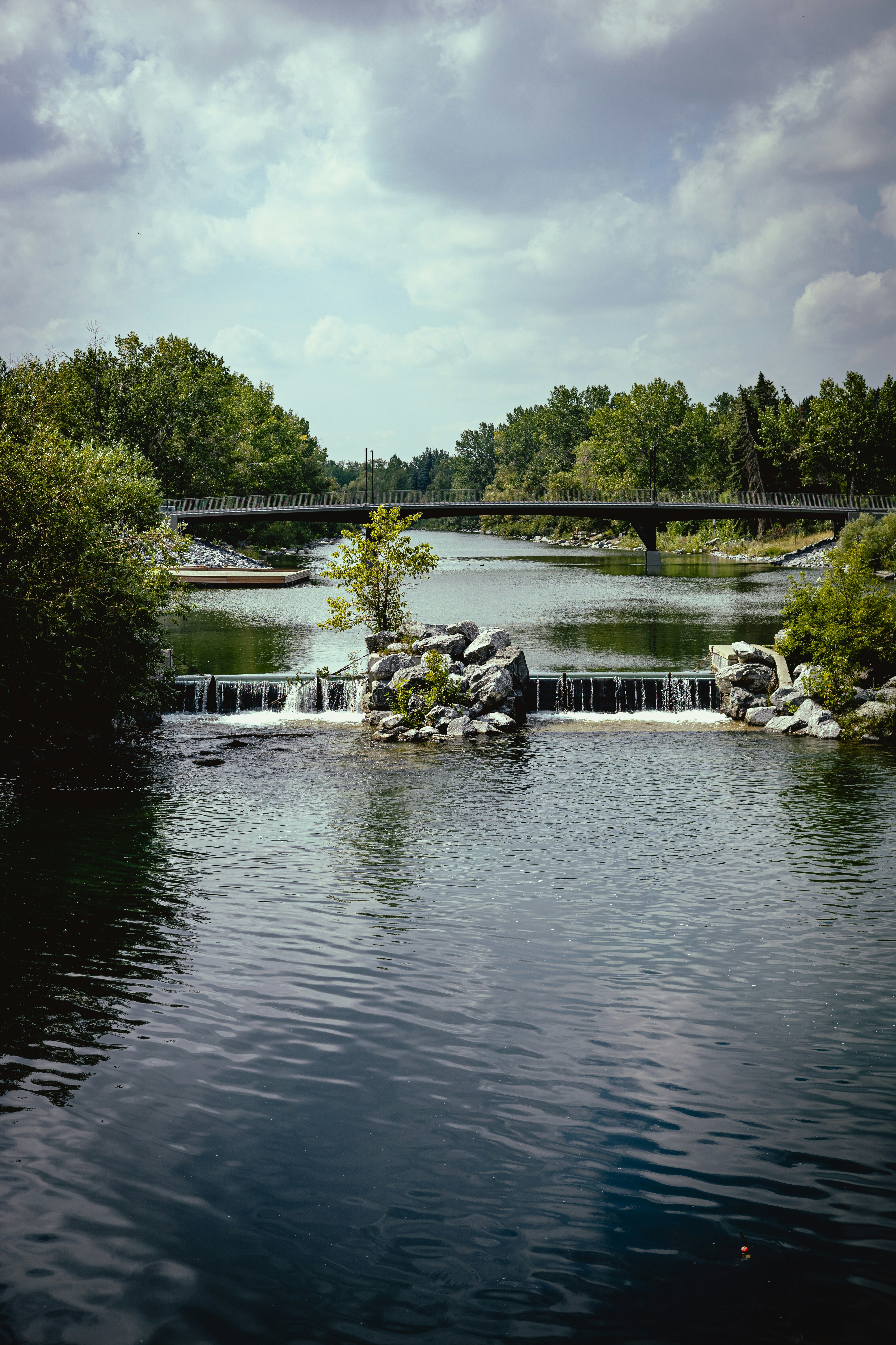 Tree Island at the River Weir: A Quiet Confluence Under the Bridge
