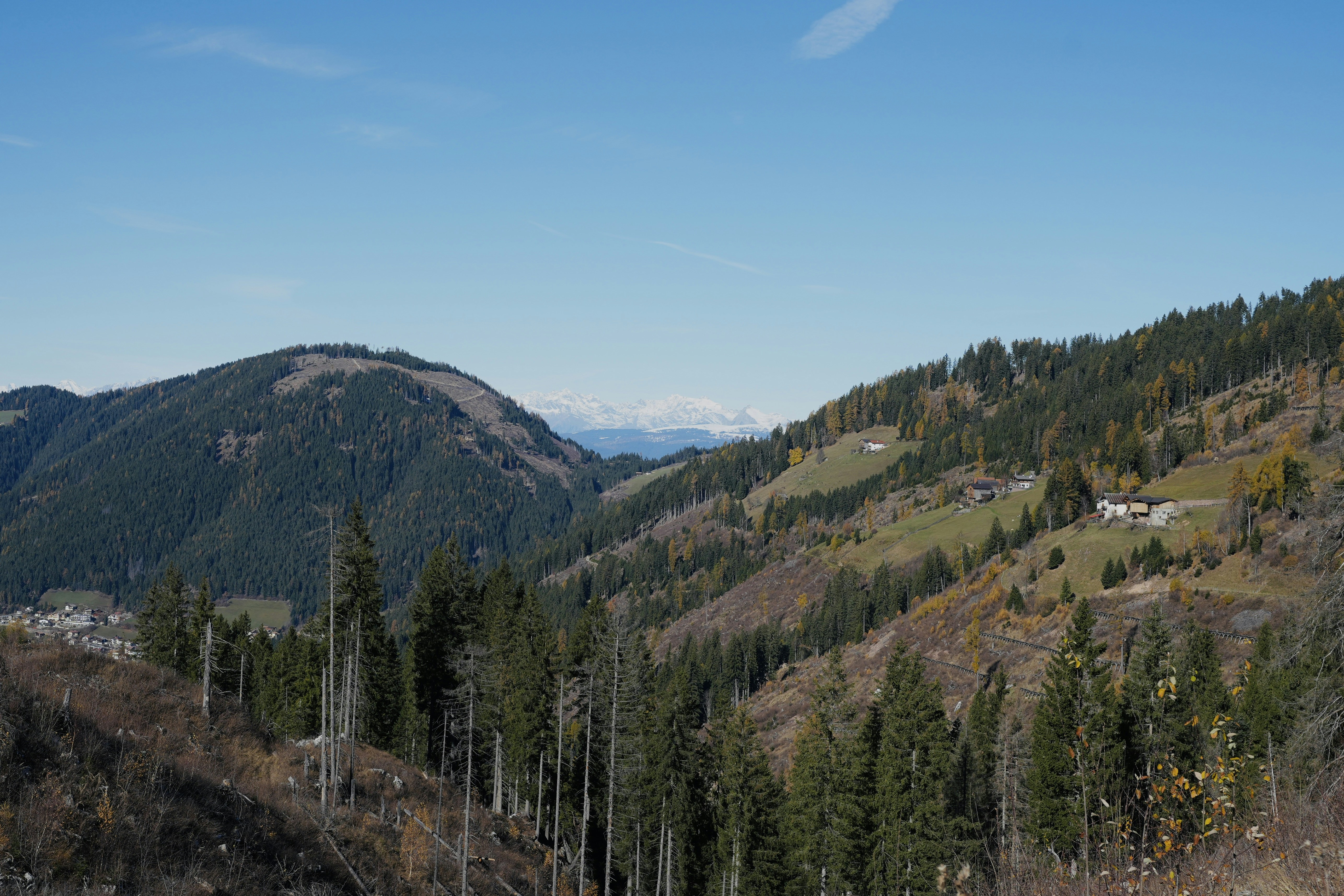 Photo by Sinthujan Thangavelu with Sony Alpha 7C II