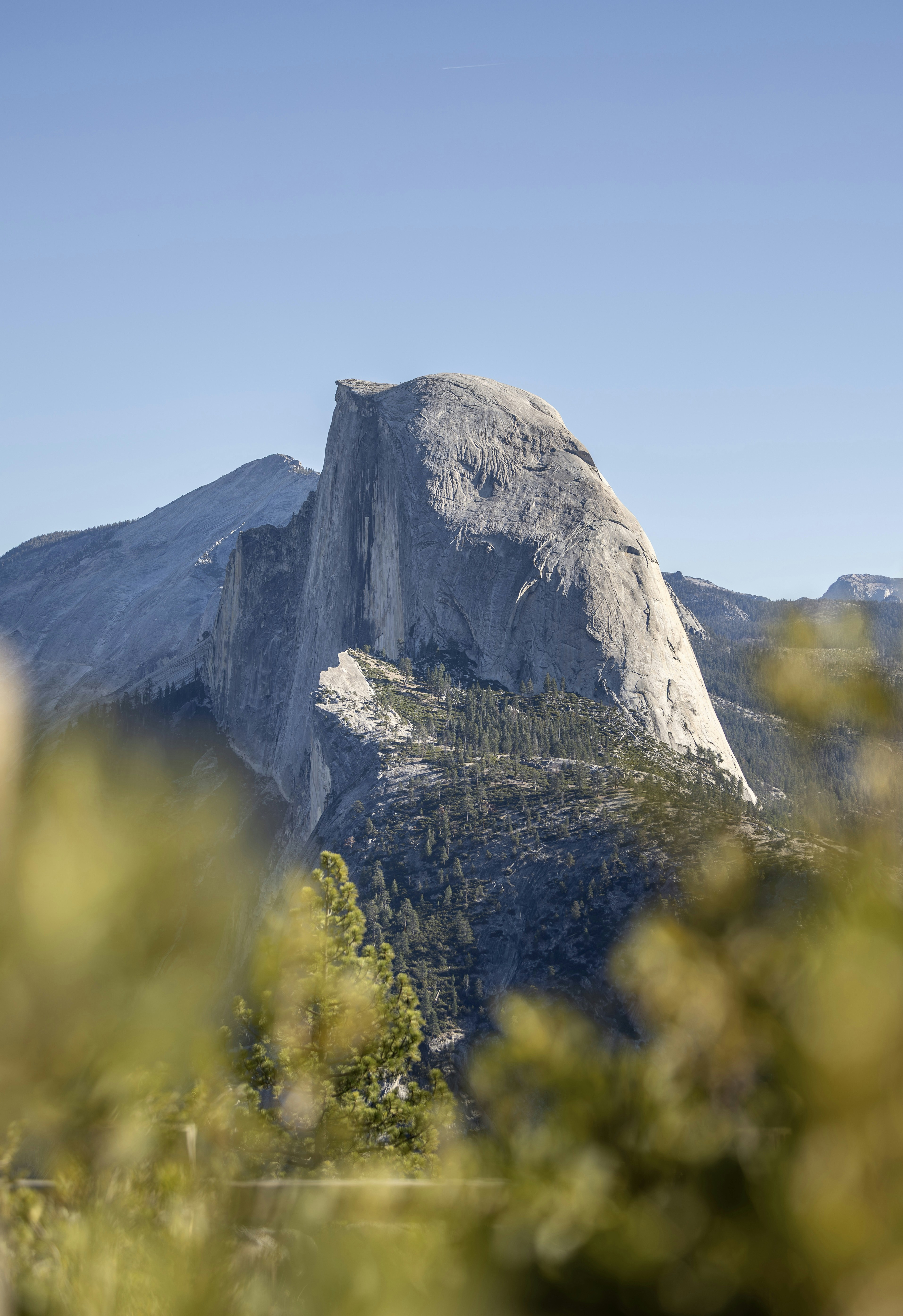 Monolithic Spire: Half-Dazed by Sierra Light