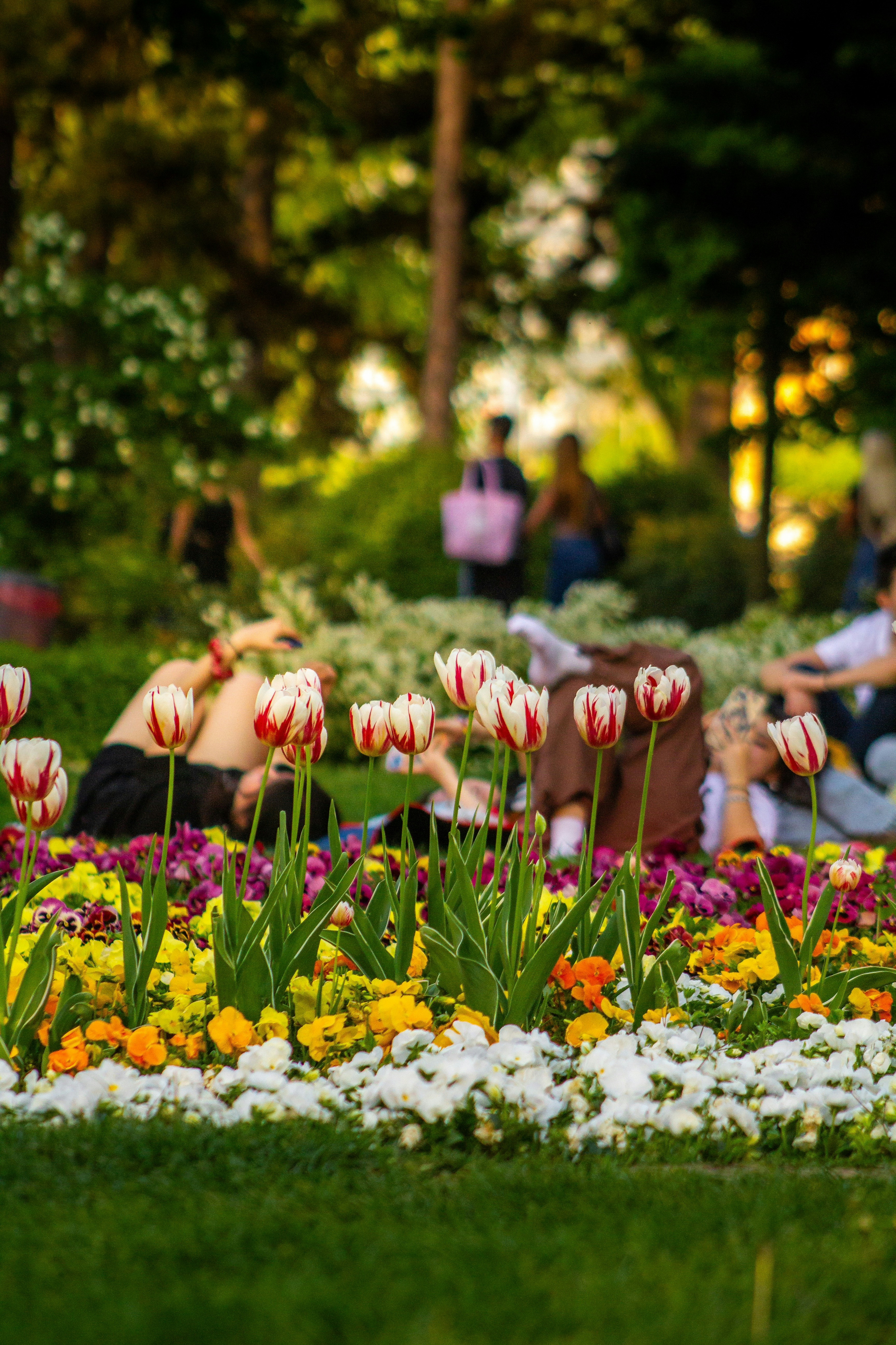 Photo by Umair Ali Asad with Canon EOS 1200D