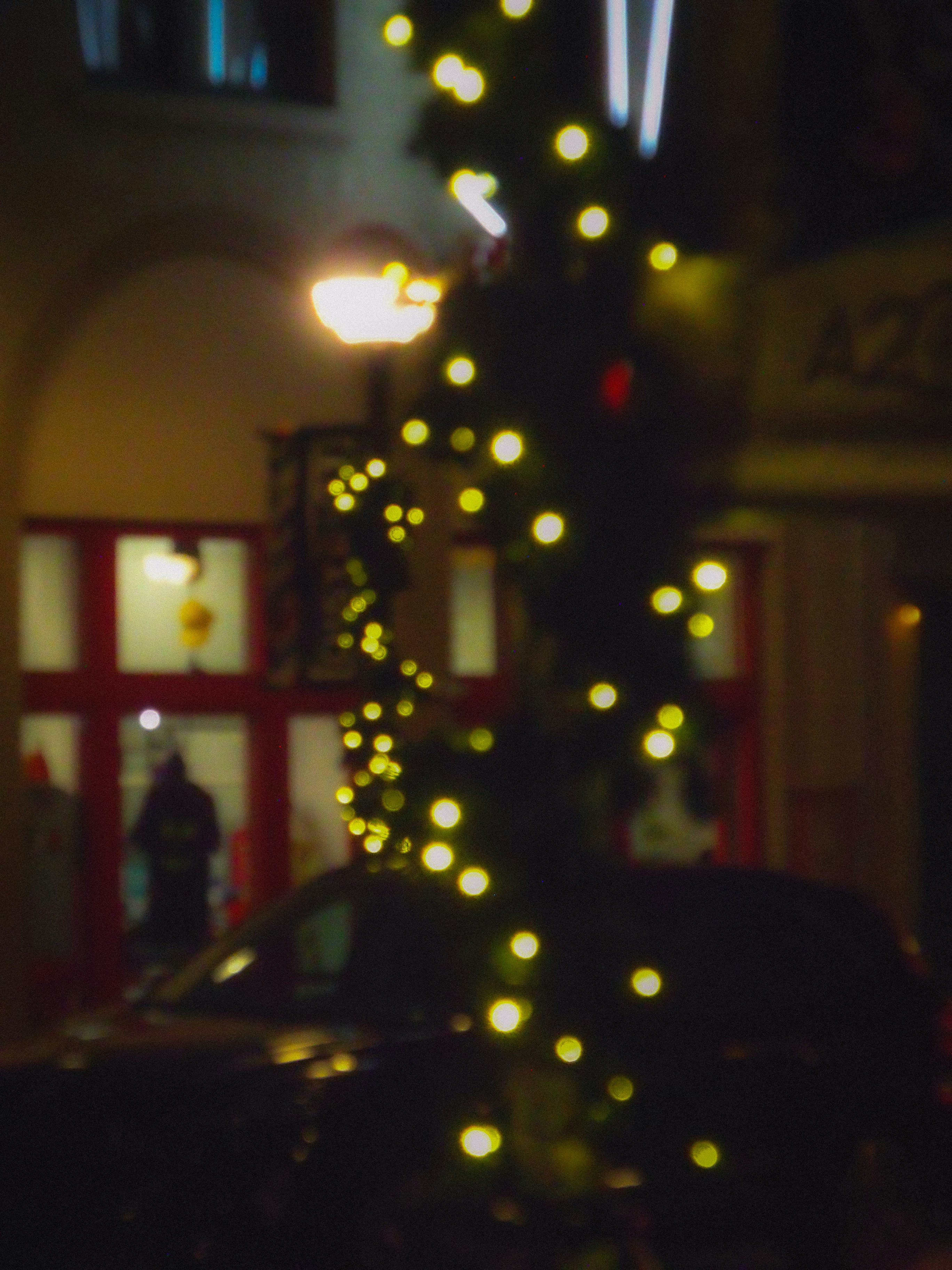 Photo by avansear with Fujifilm FinePix S1500