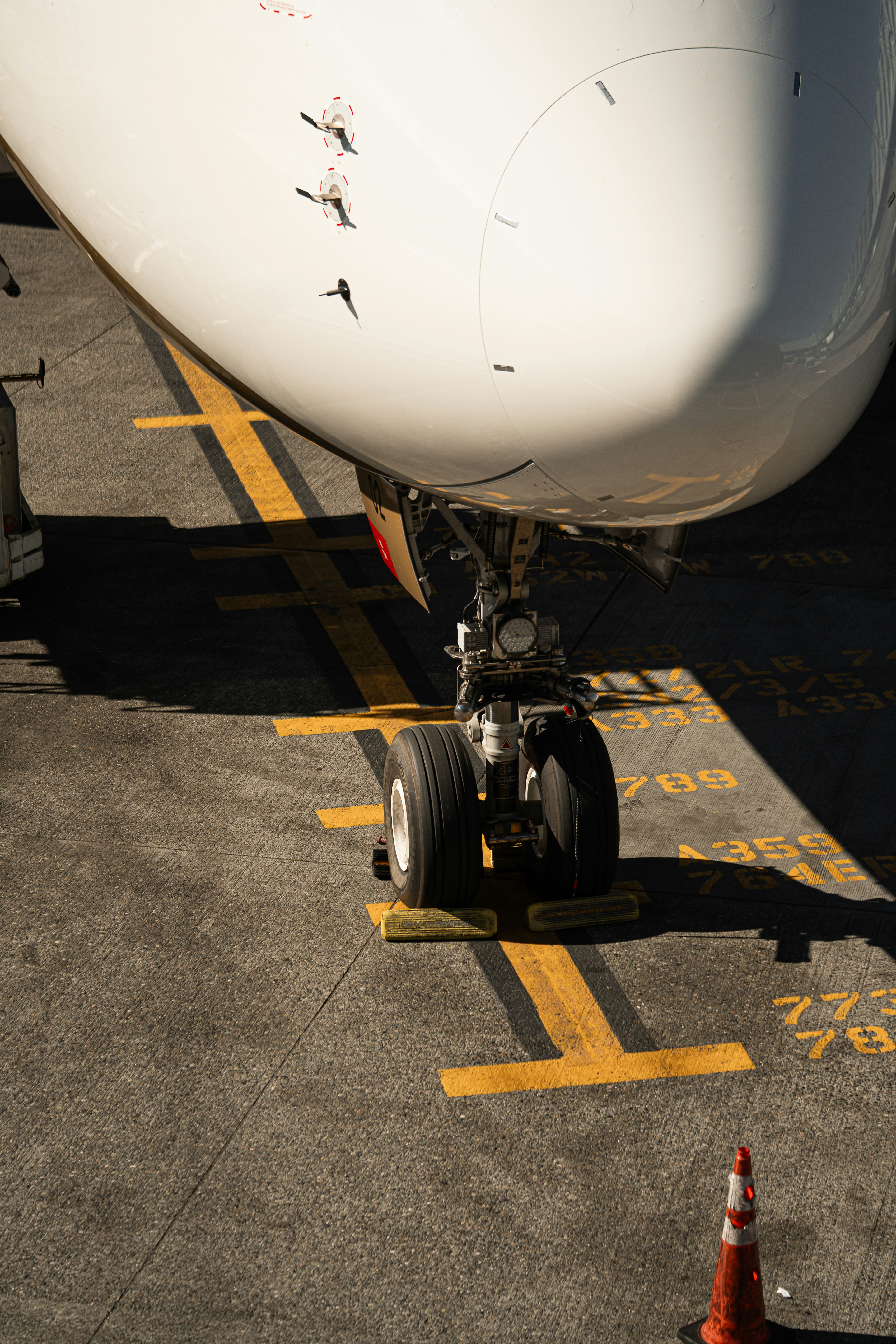 Photo by Kenneth Li with Sony Alpha 7C II