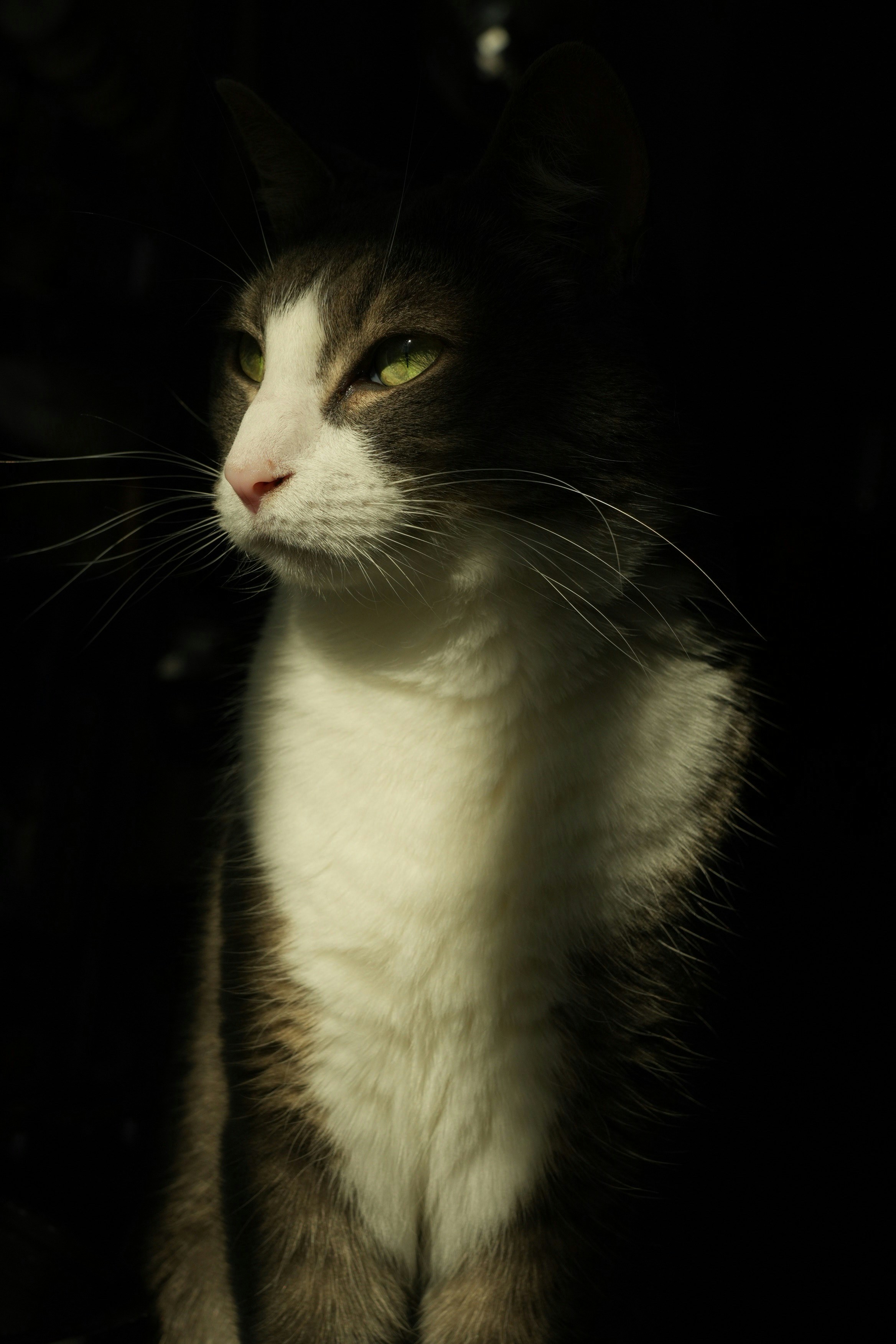 Photo by Kellen Barnes with Sony Alpha 7 IV