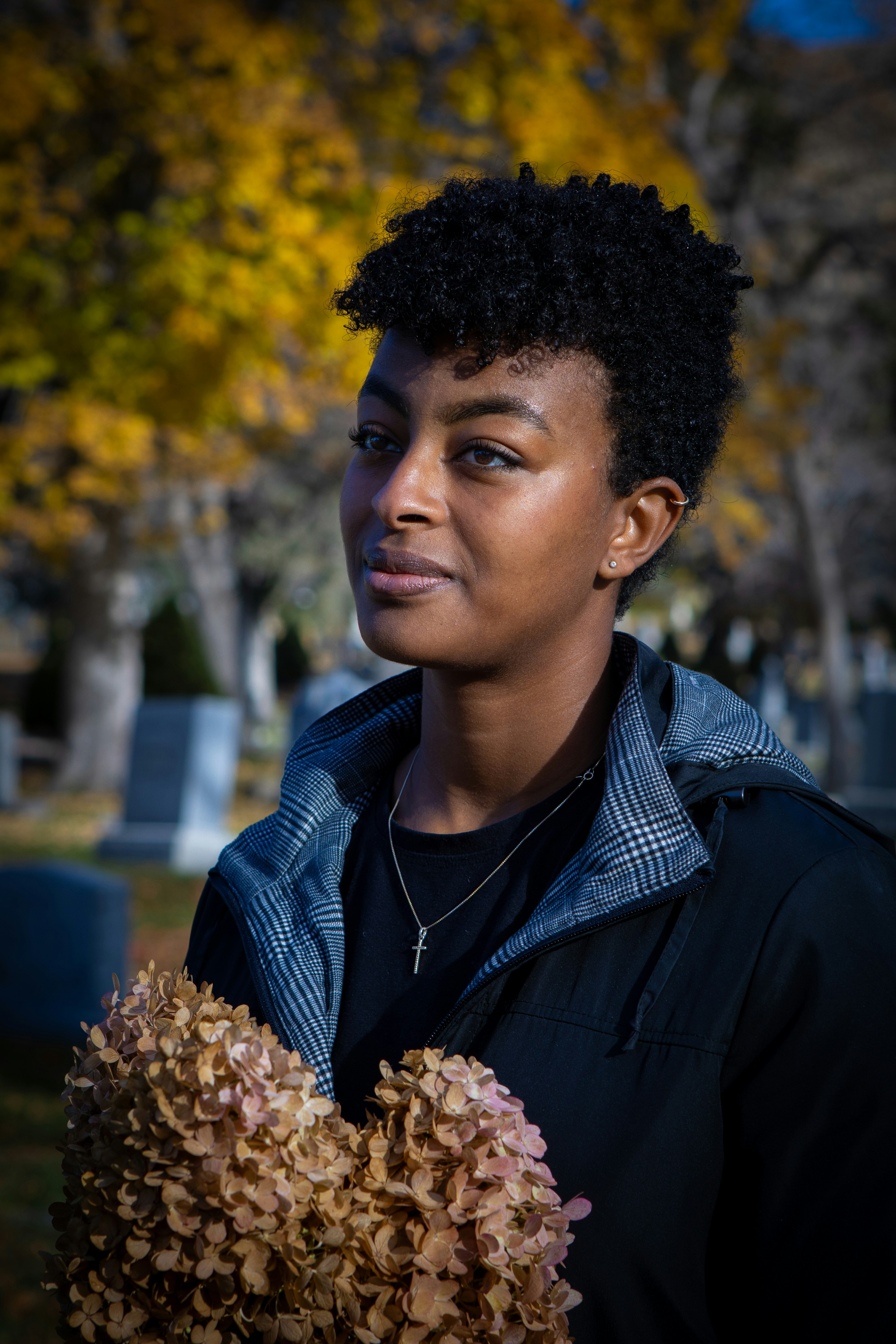 Dappled October Light: A Quiet Portrait with Hydrangea