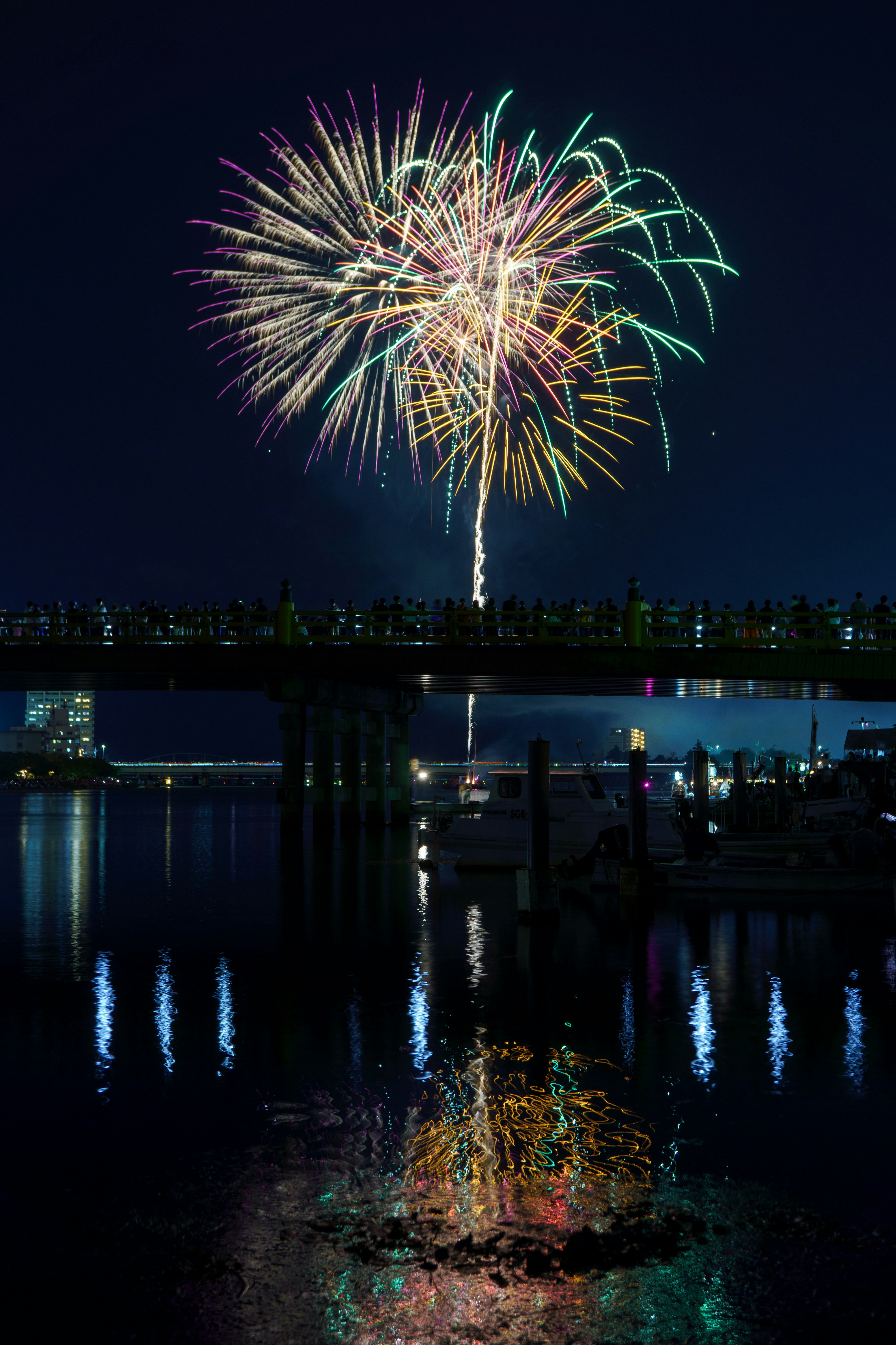 Midnight Burst Over Waterfront Bridge: Fireworks and Neon Reflections