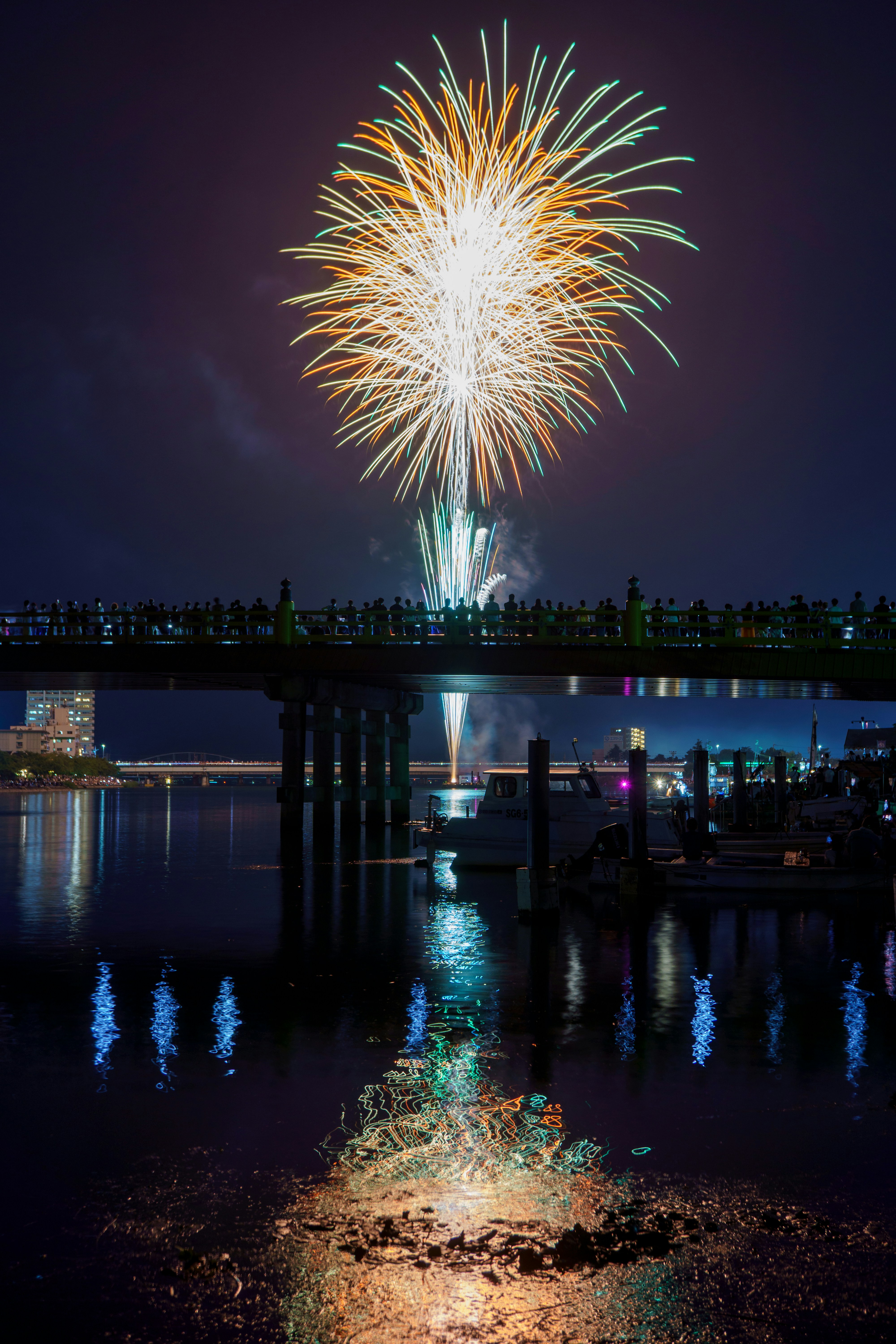 Neon Firework Bloom Over a Moonlit Marina