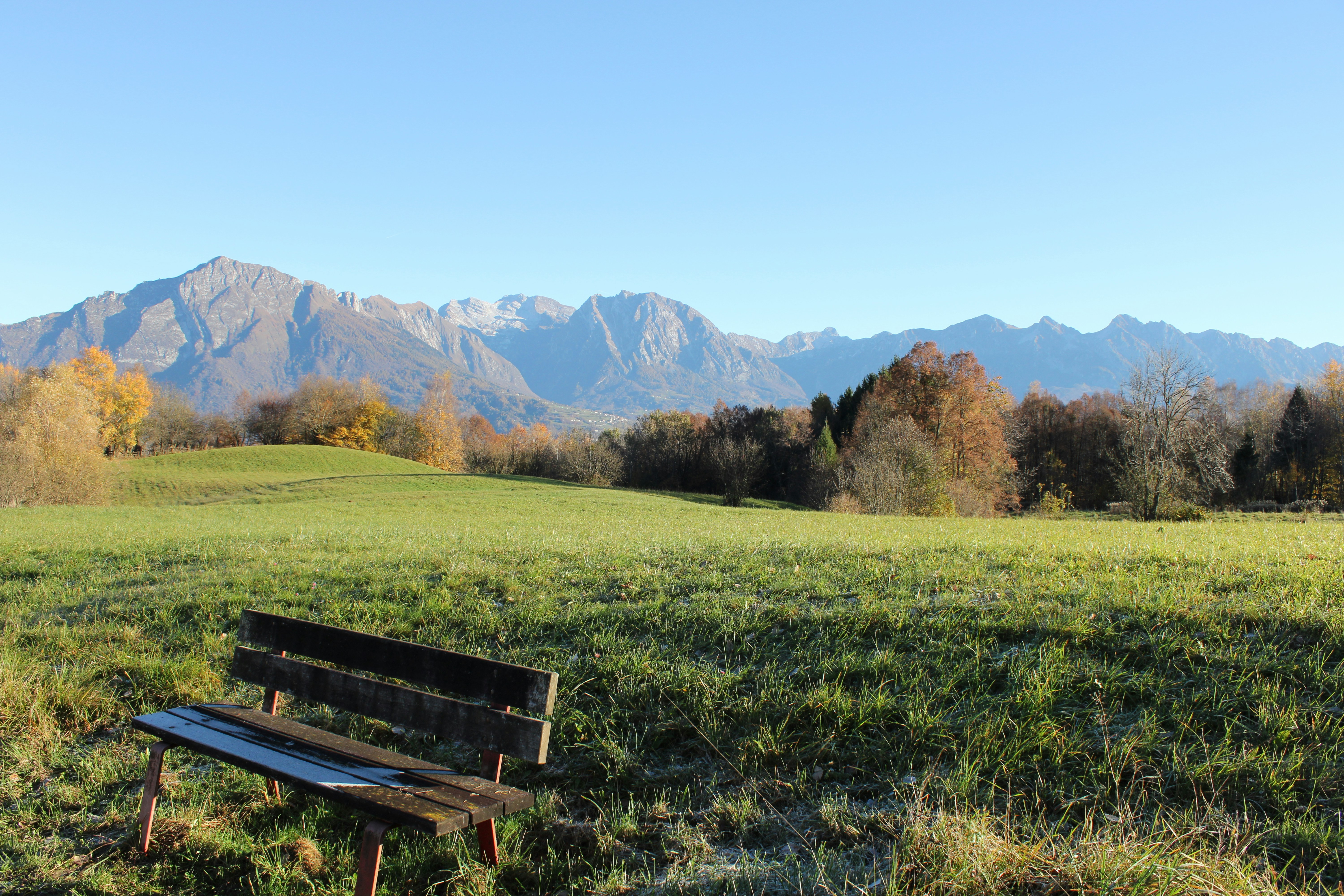 Lone Bench at the Edge of Autumn Meadow Beneath a Clear Mountain Sky