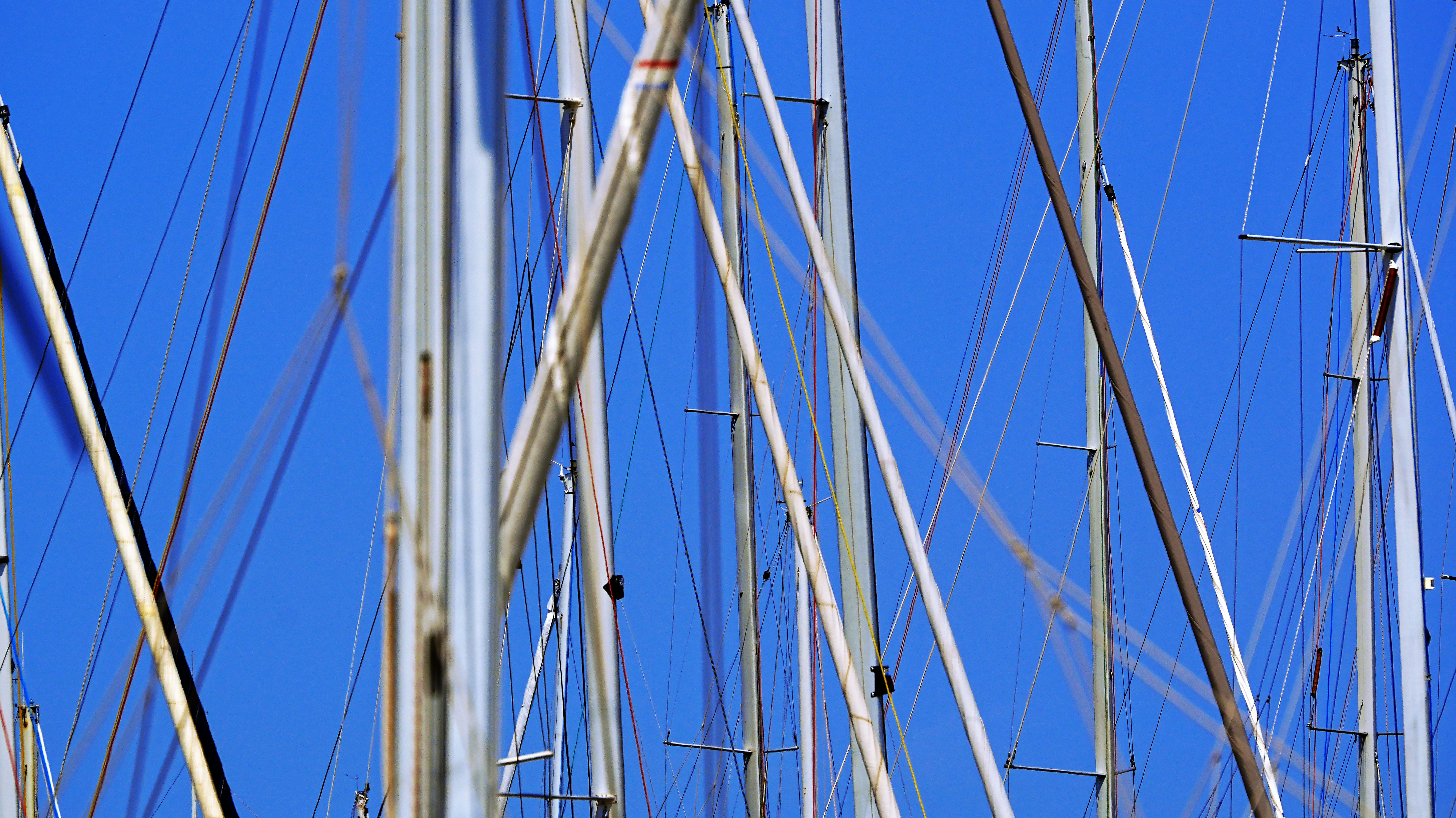 Photo by boris misevic with Sony Alpha 6700