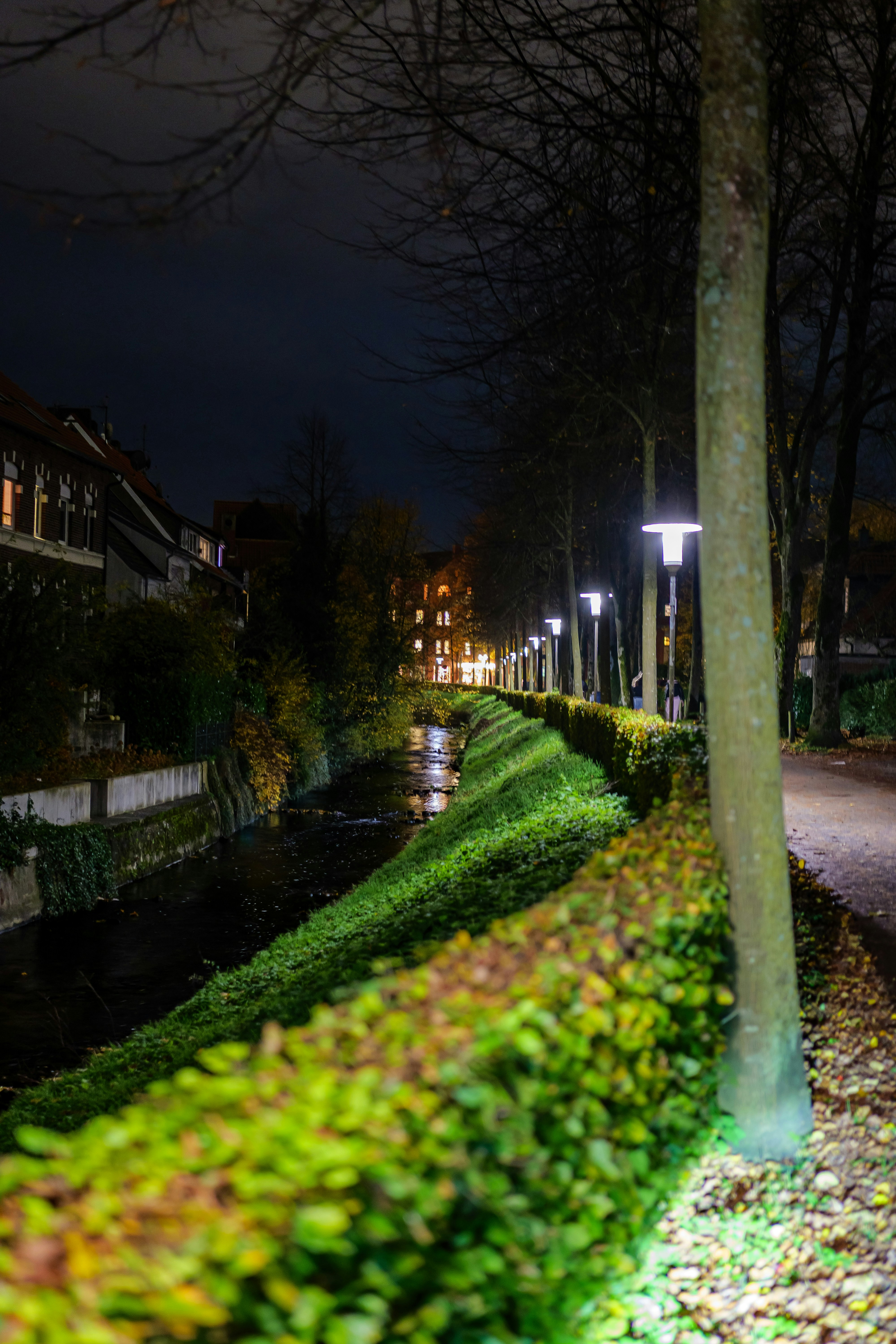 Midnight Canal Corridor: Row of Lamps Illuminates a Tranquil Riverside