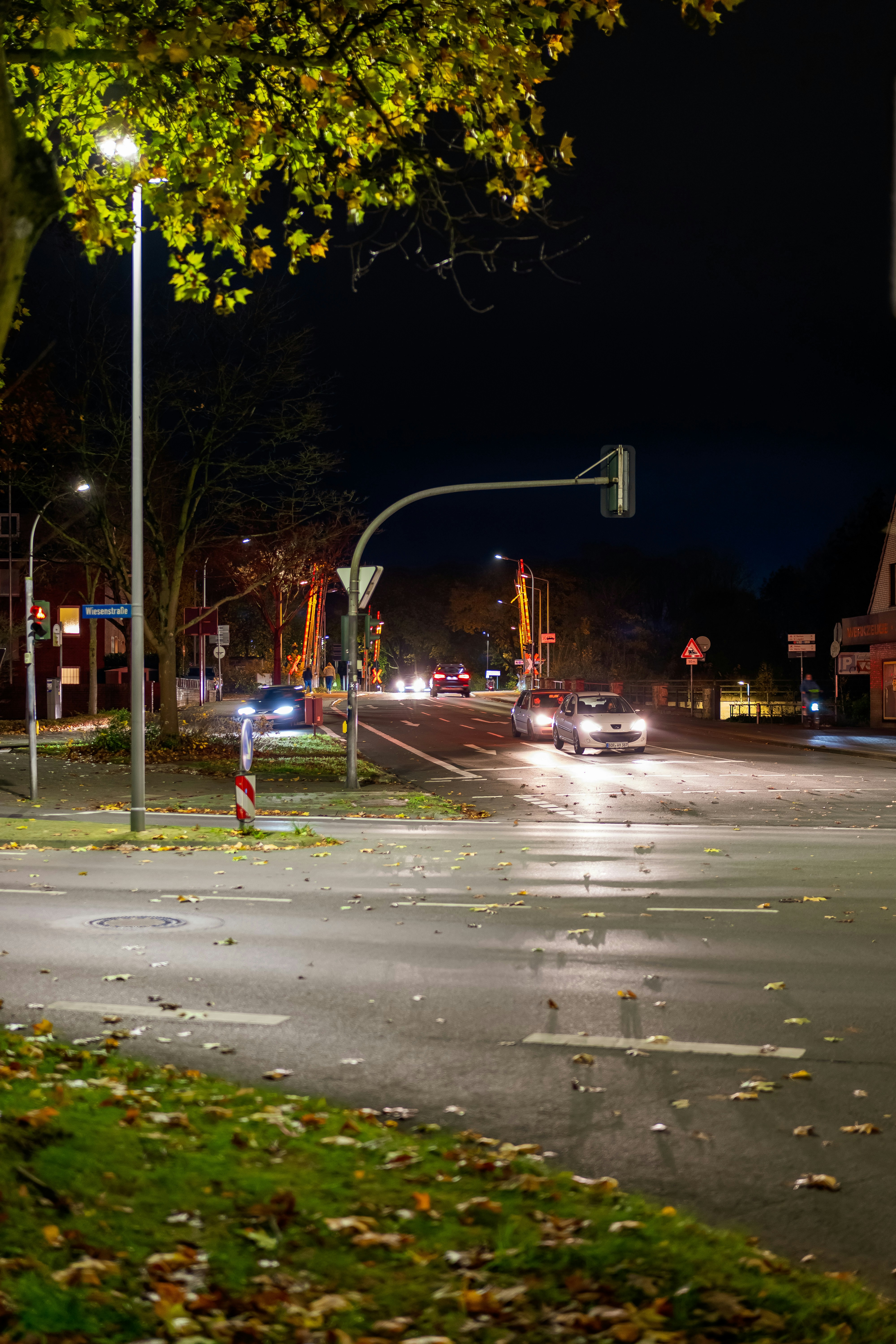 Cars driving on wet street at night with autumn leaves.