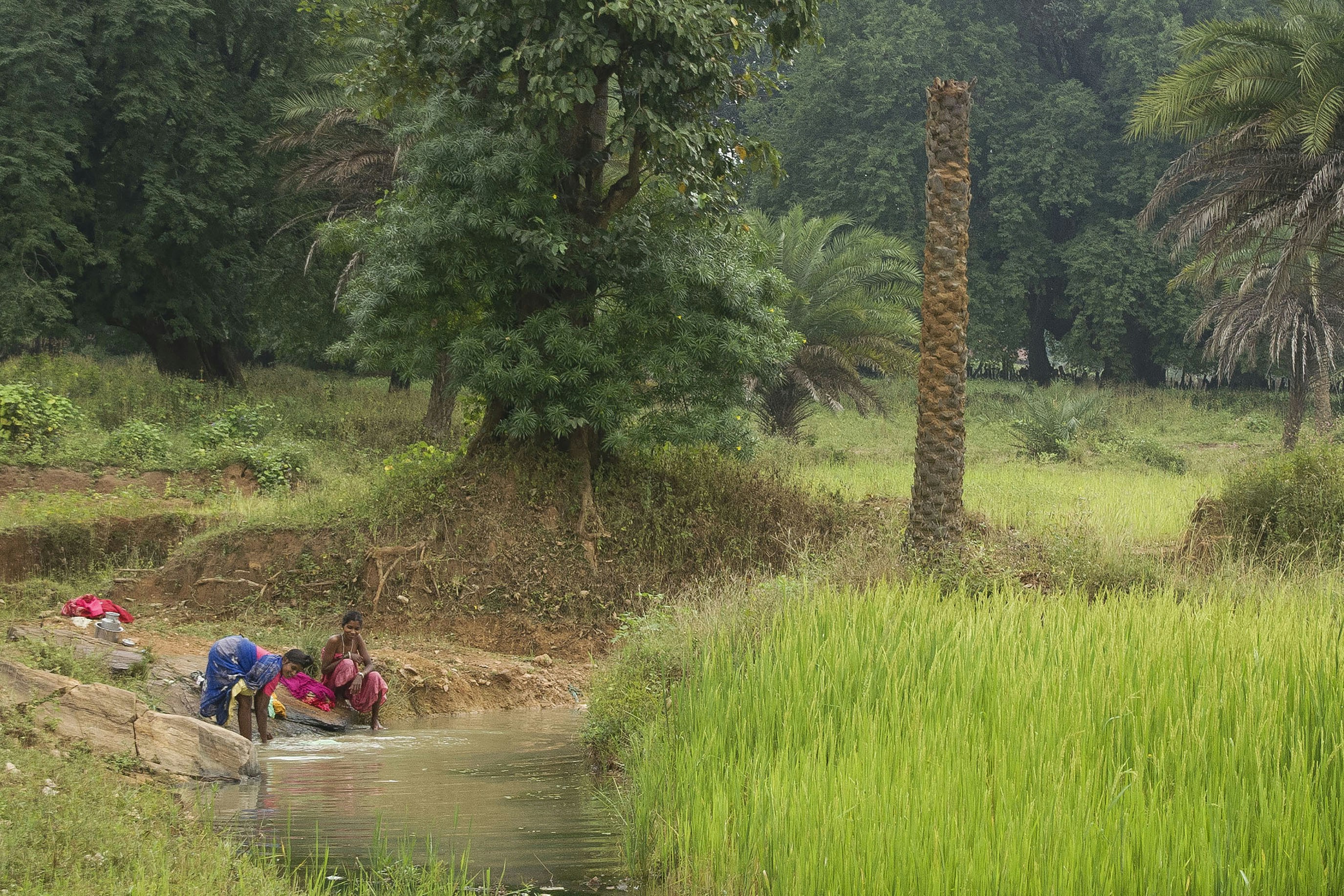 KONICA MINOLTA DIGITAL CAMERA