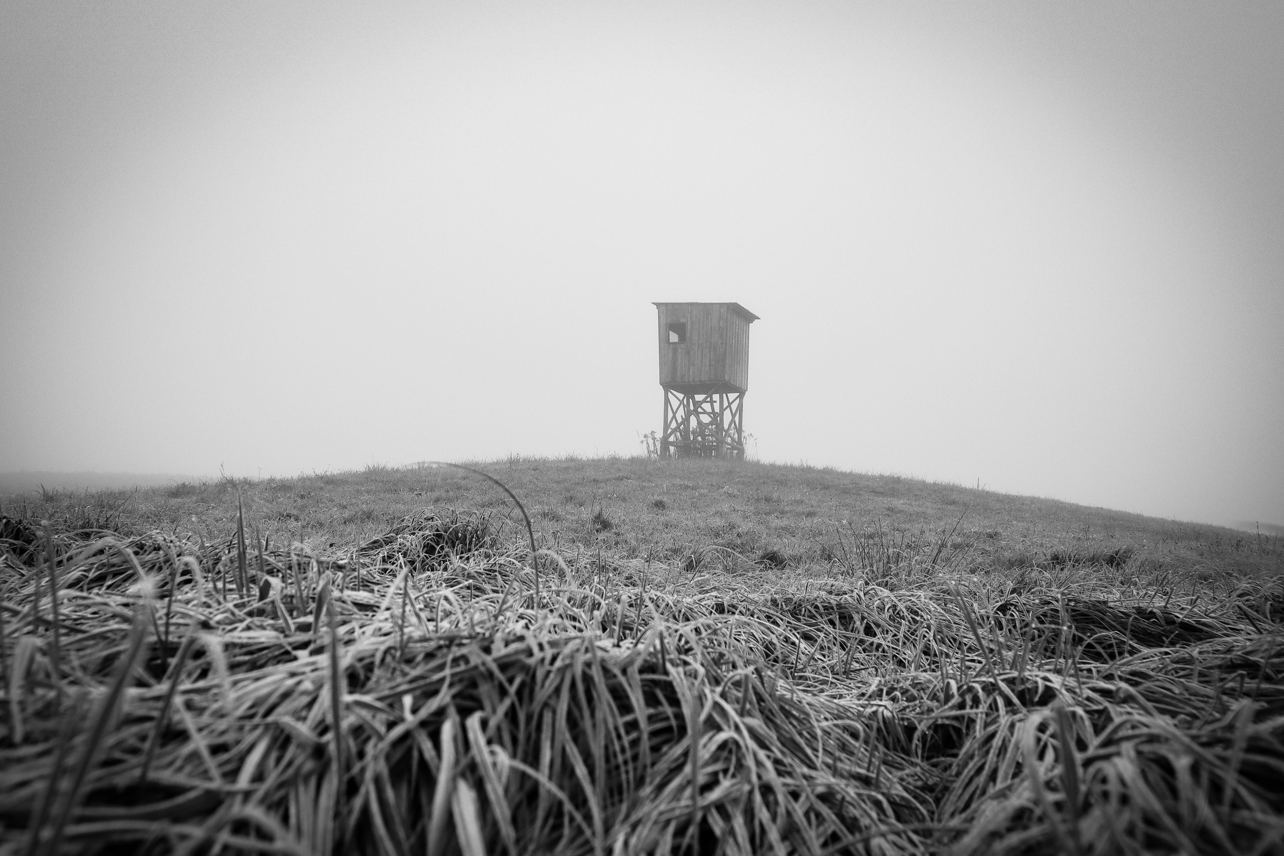 Mistbound Lookout Above the Grass-Dune Horizon