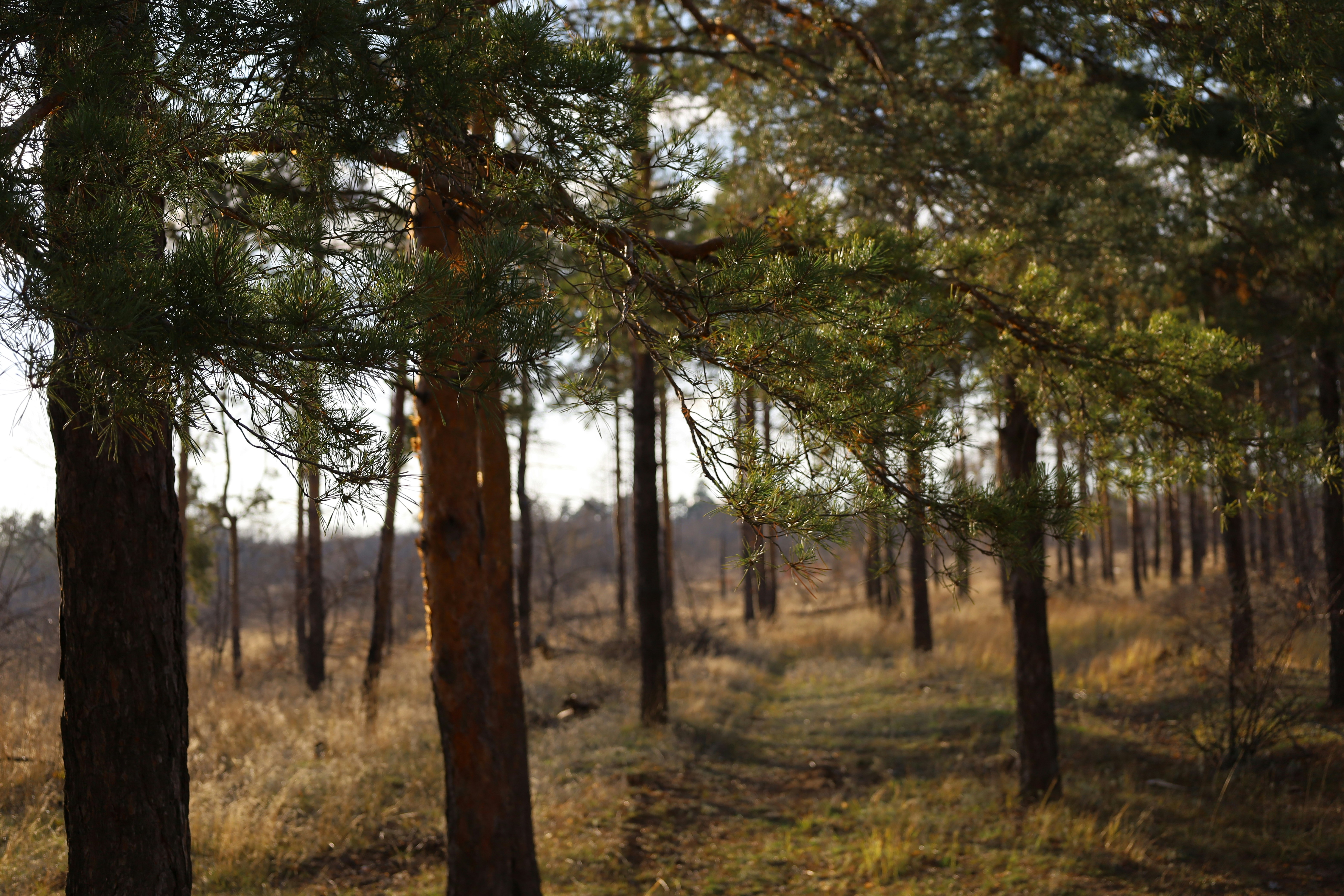 Photo by Мария Глухова with Canon EOS RP