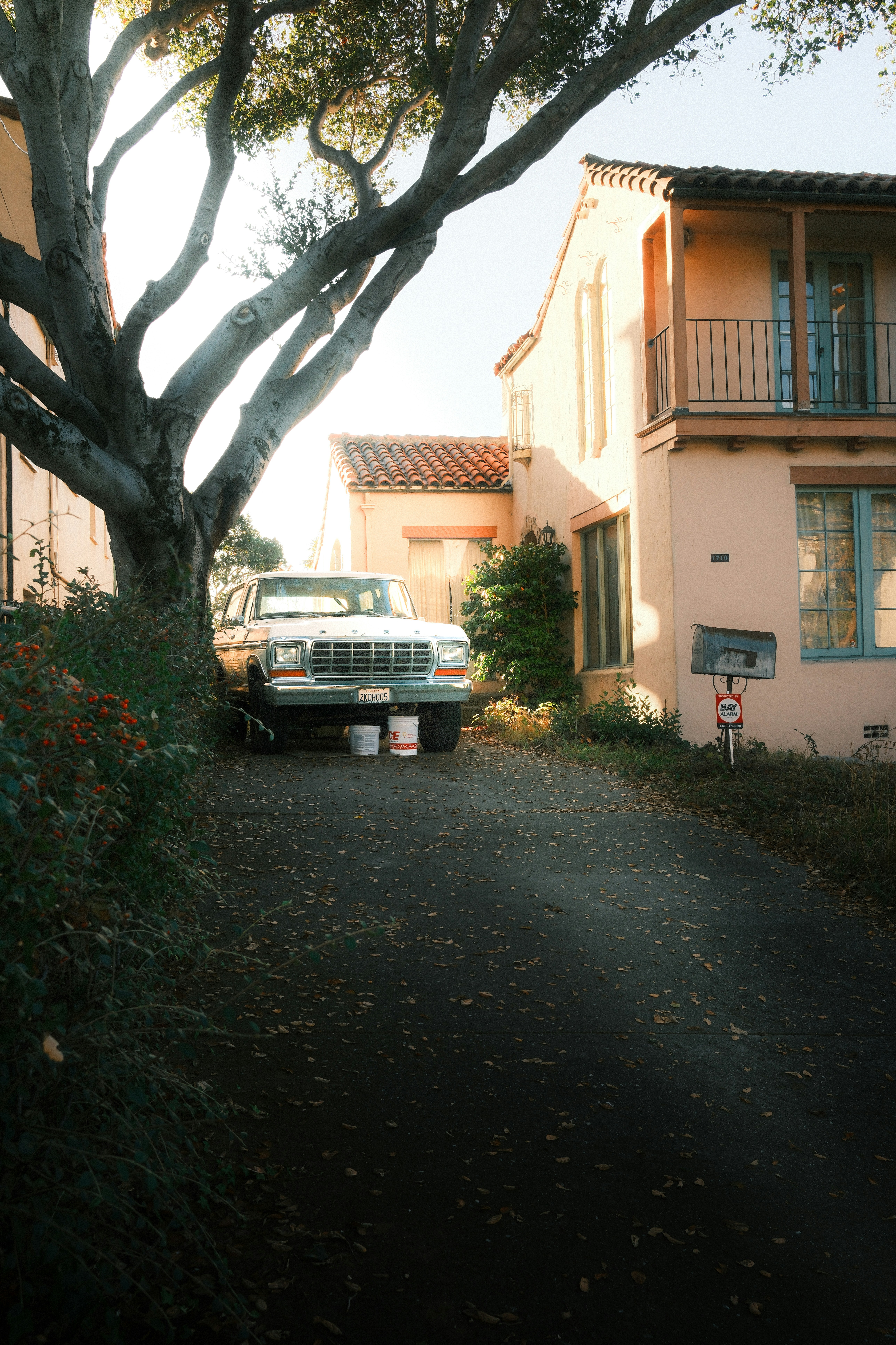 Photo by Dan Begel with Fujifilm X-T5