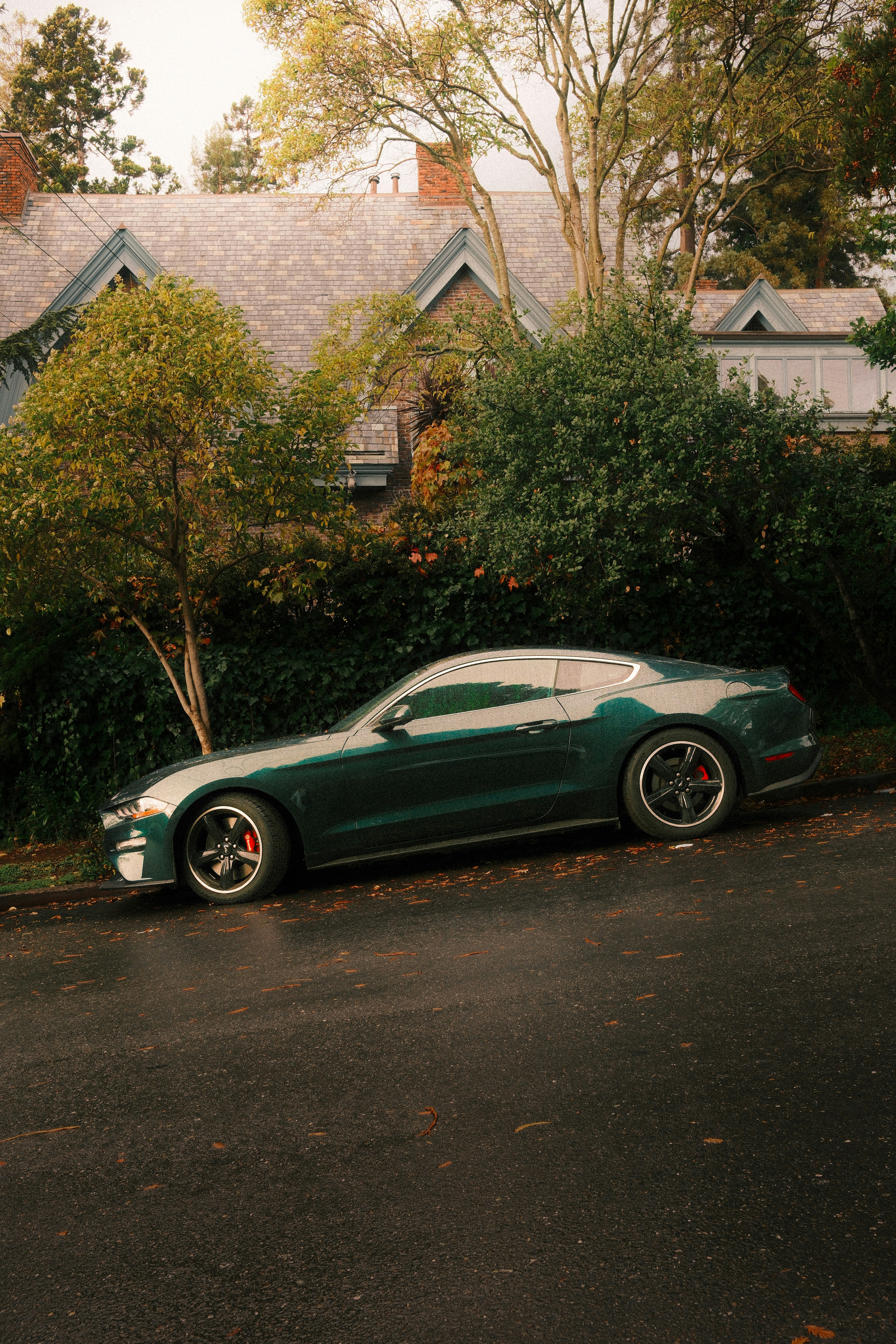 Emerald Coupe on a Quiet Suburban Lane