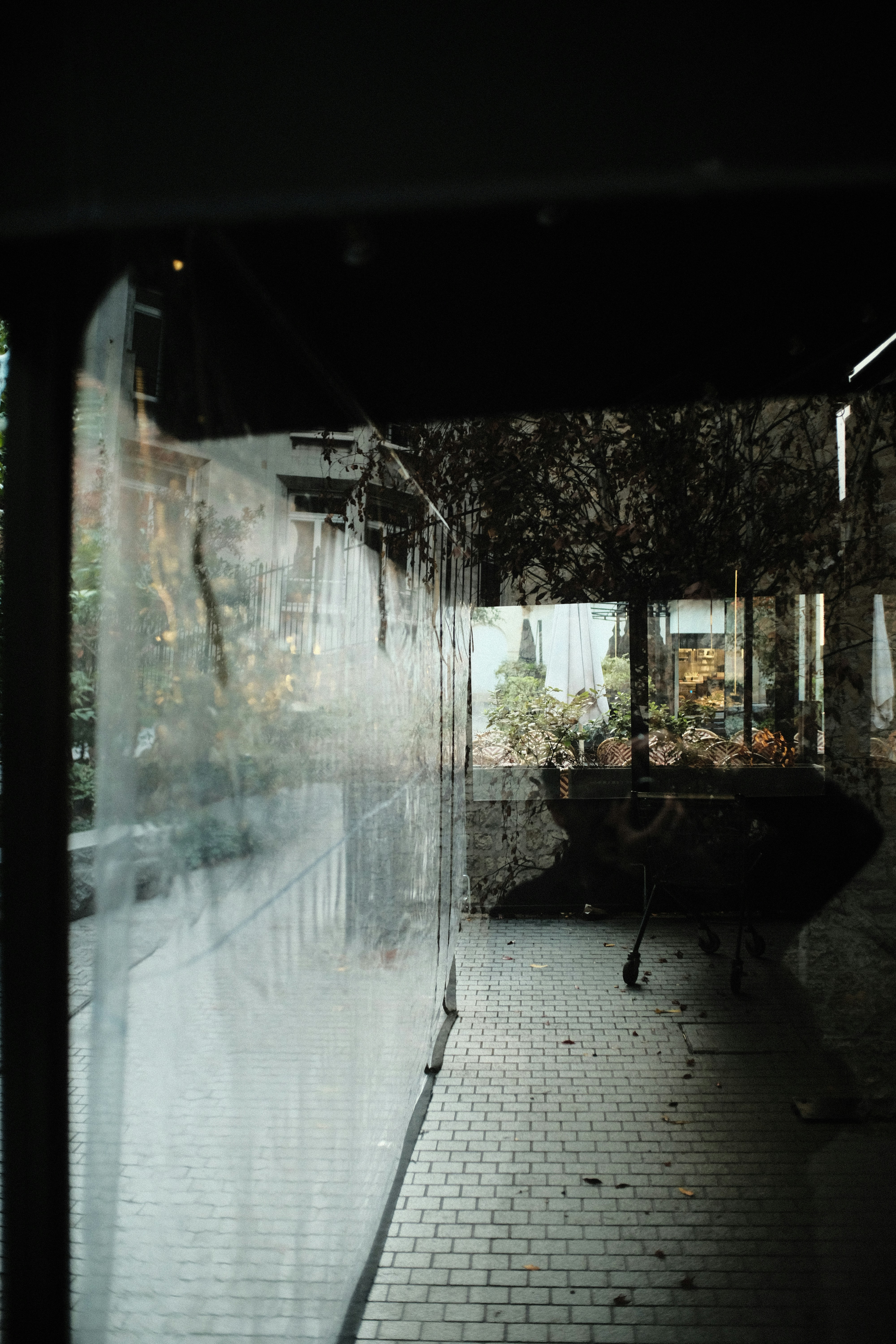 Through the Glass Corridor: Reflections of a Quiet Courtyard