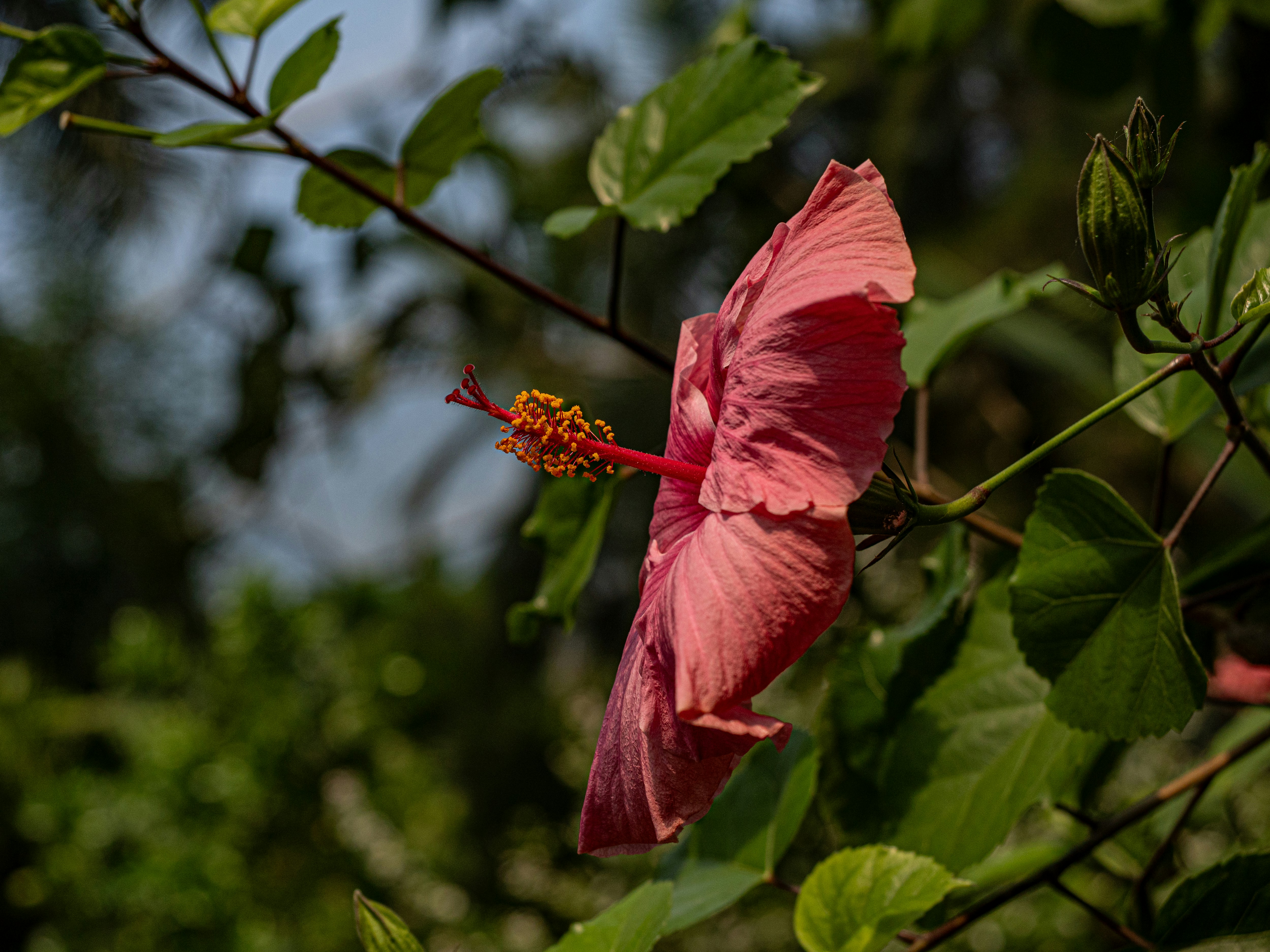 Photo by Håkon Grimstad with OM System OM-1 Mark II