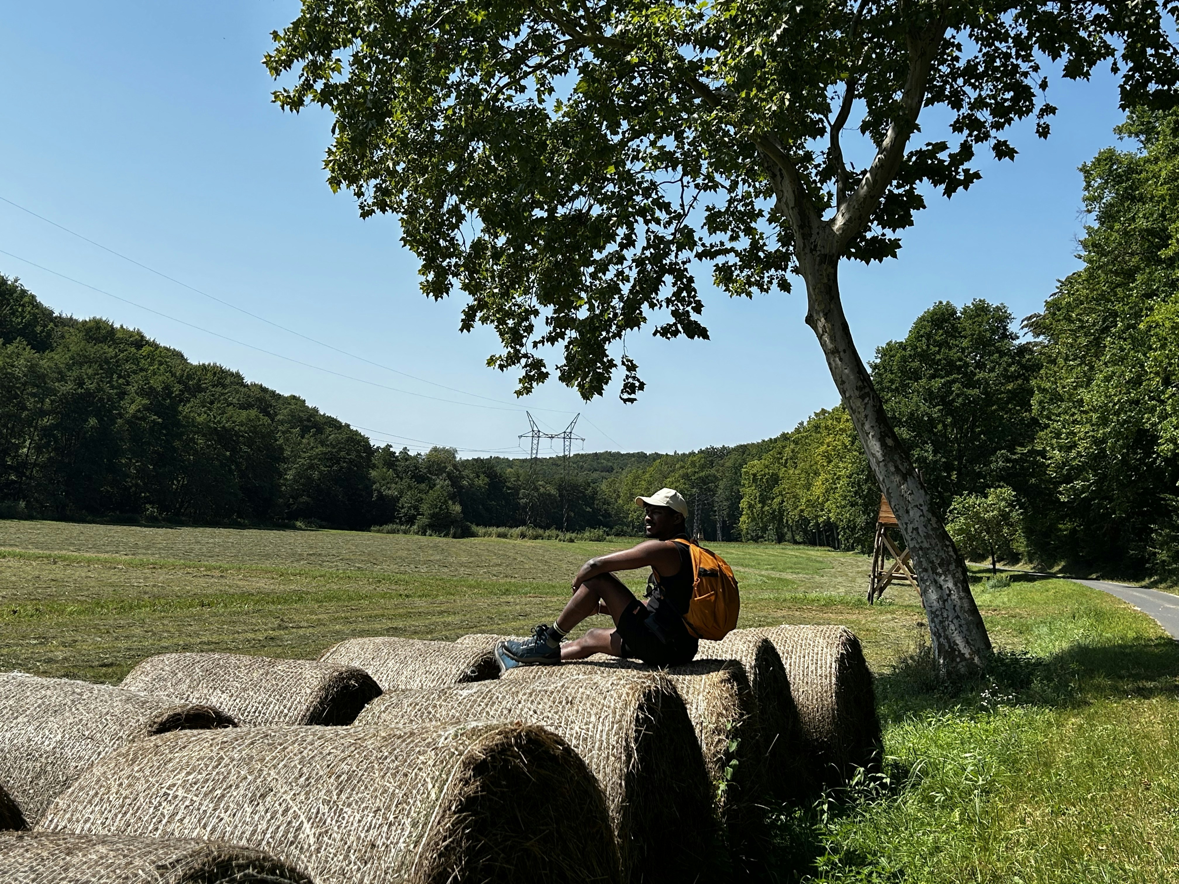 Photo by renata mezo with Apple iPhone 14