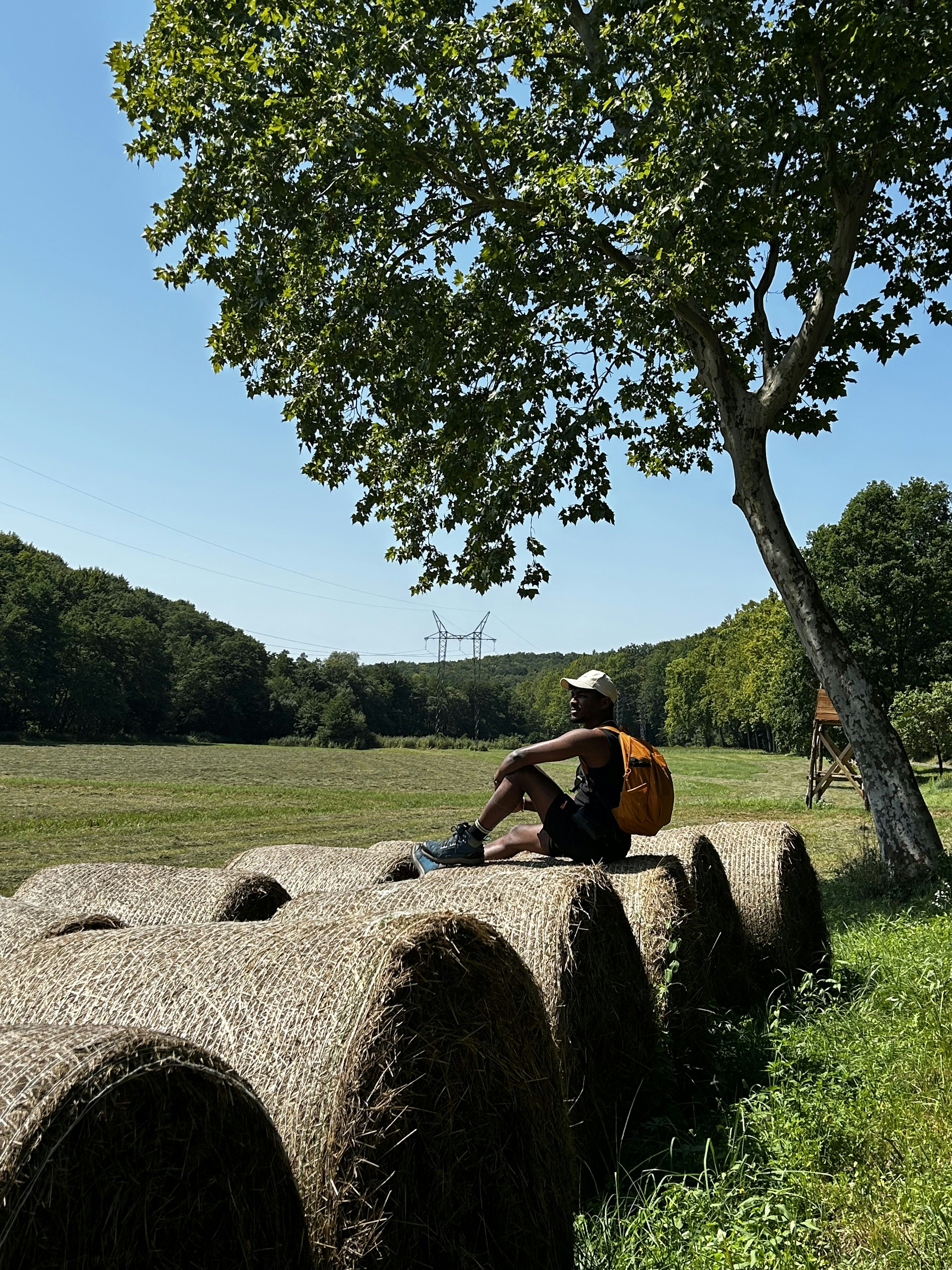 Shade and Solitude: Resting on Golden Hay Bales Beneath a Spreading Tree