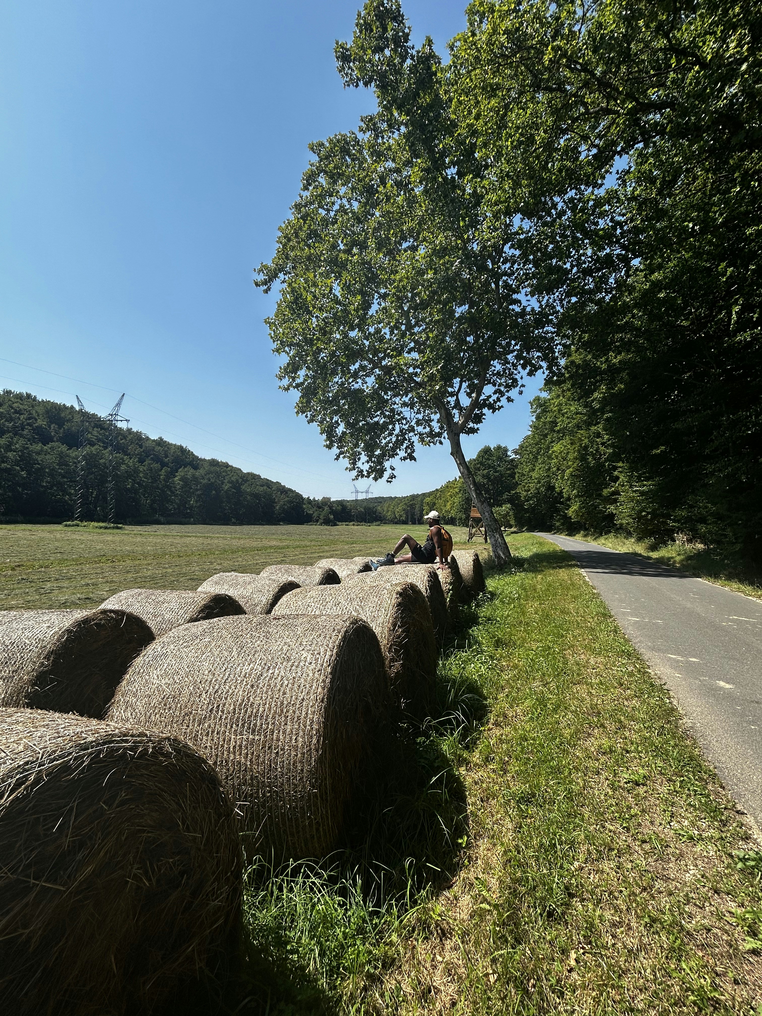 Hay Bale Echo: Sunlit Row, Path, and a Figure in Shade