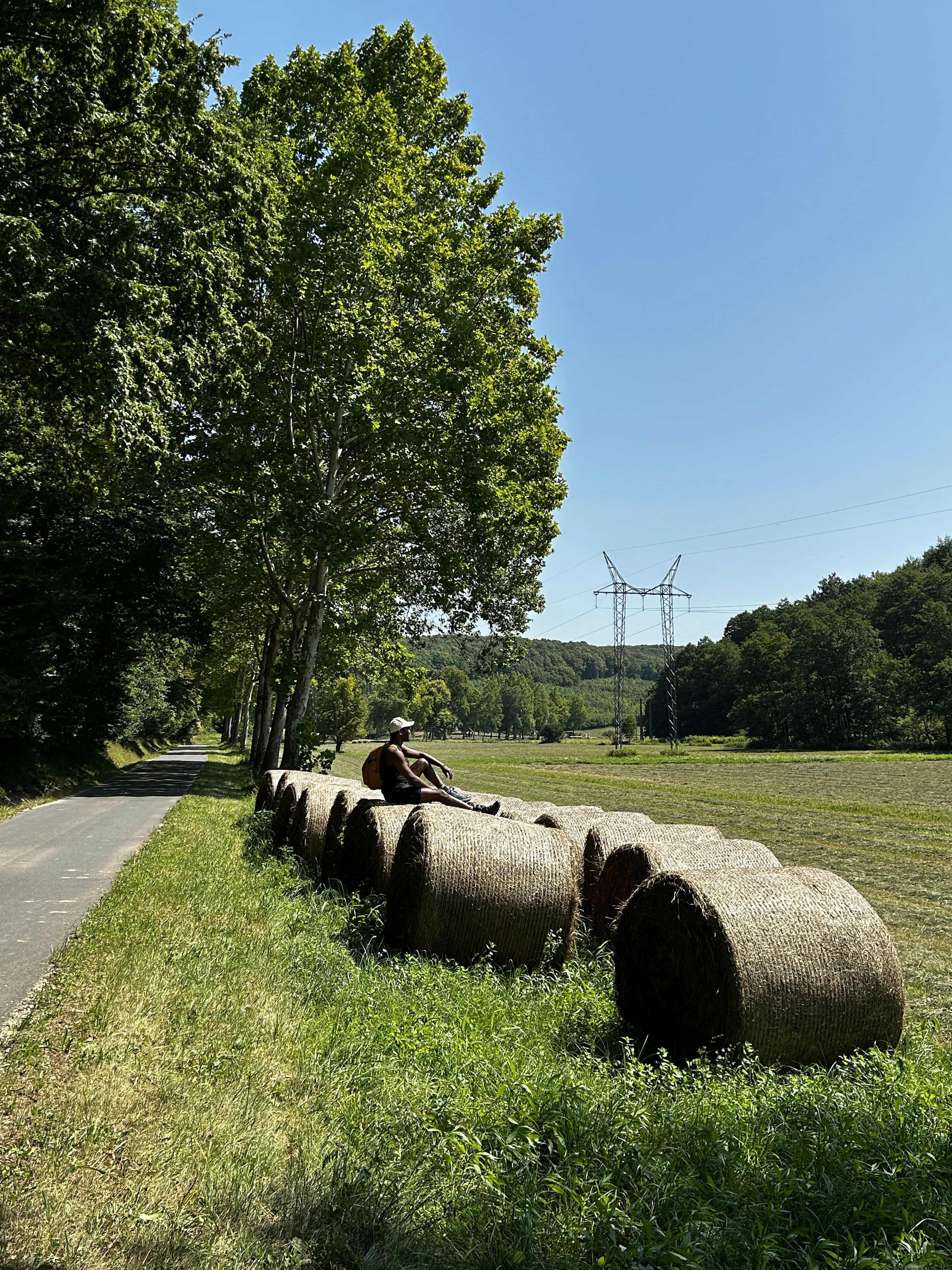 Solitary Pause on the Hay Bales Under a Summer Sky