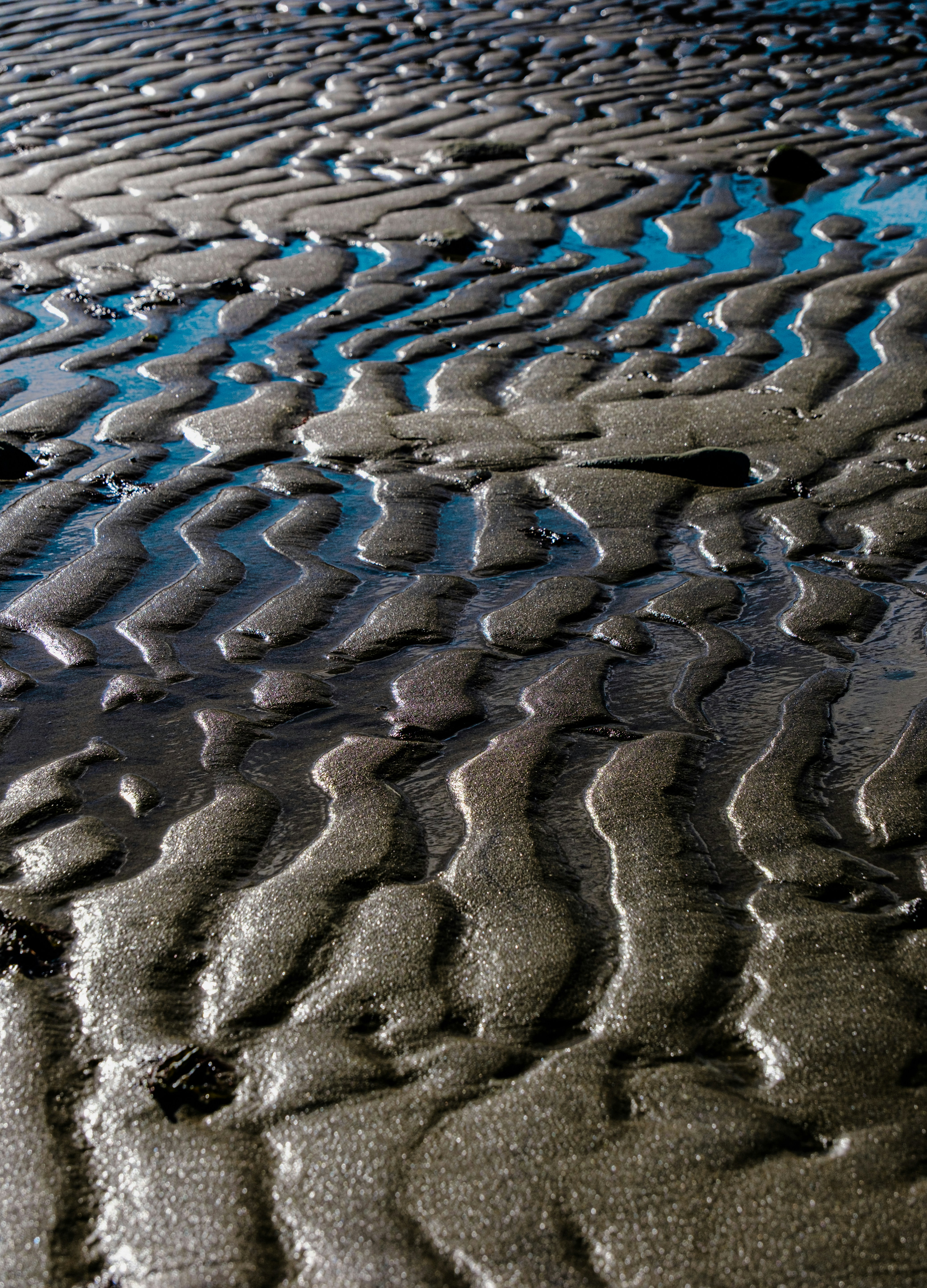 Blue Ripples in Wet Sand: A Close-Up of Tidal Textures