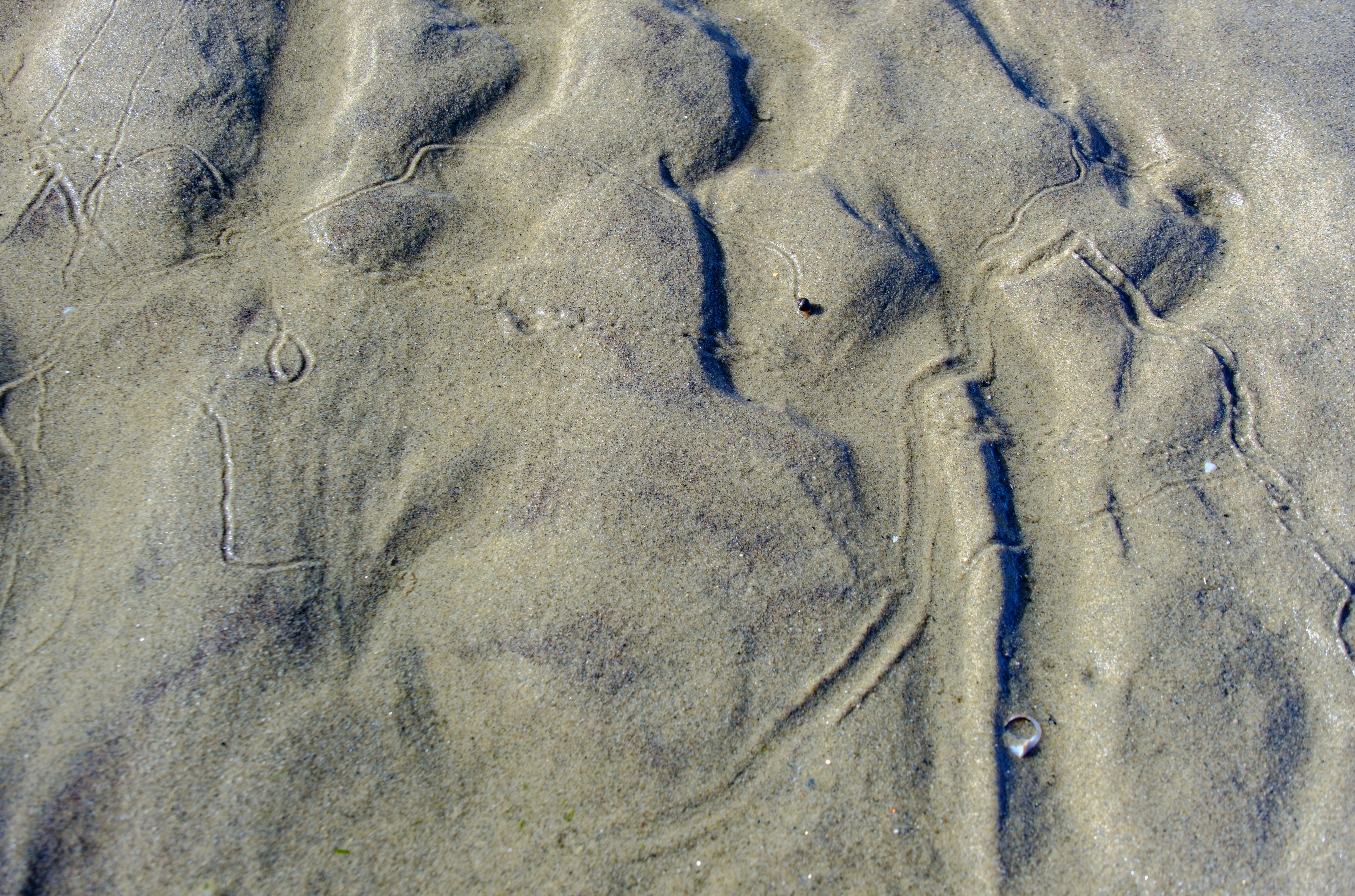 Braided channels of sunlit sand: a micro-texture study