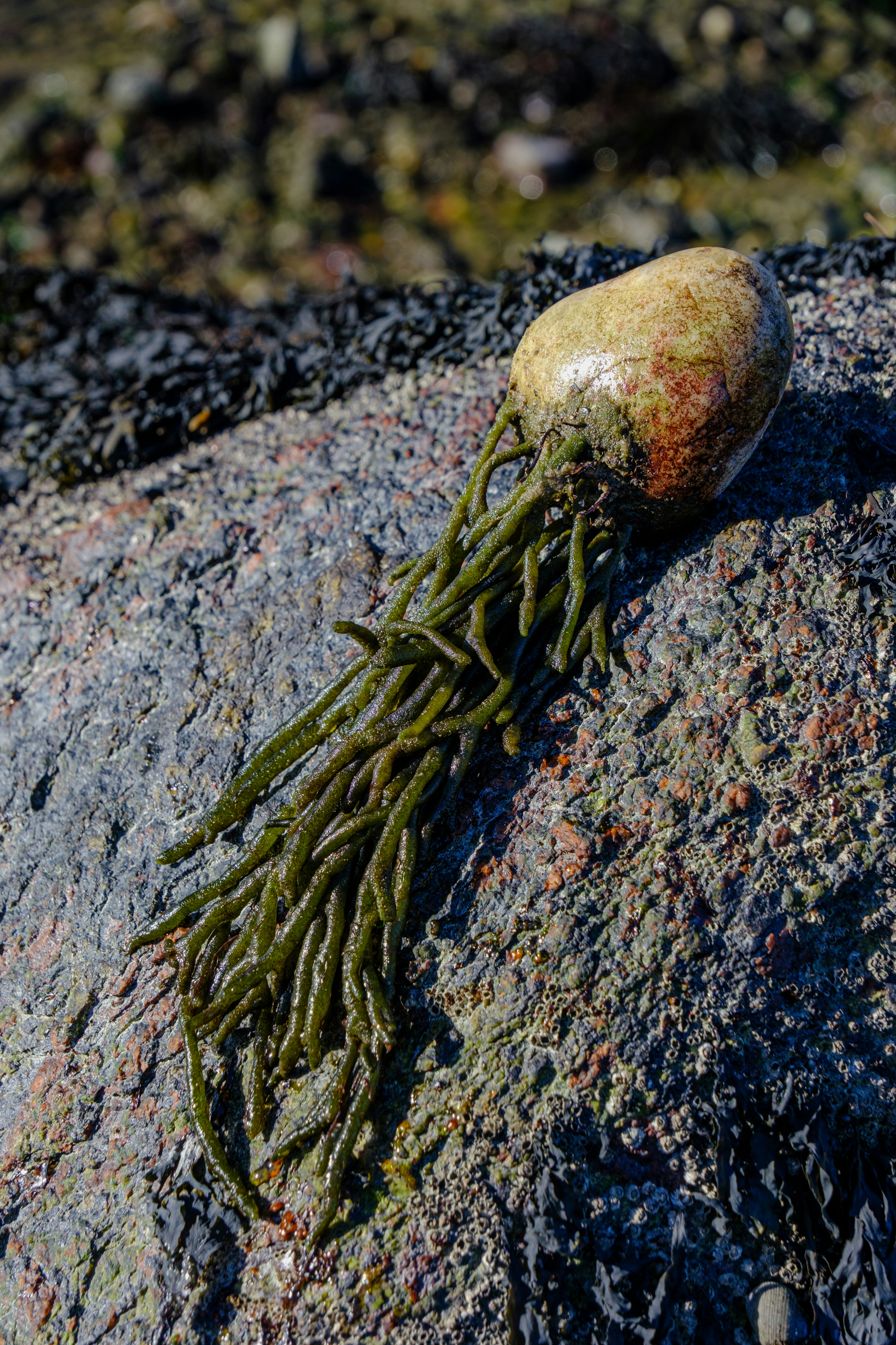 Photo by MICHAEL CHIARA with Fujifilm X-H2S