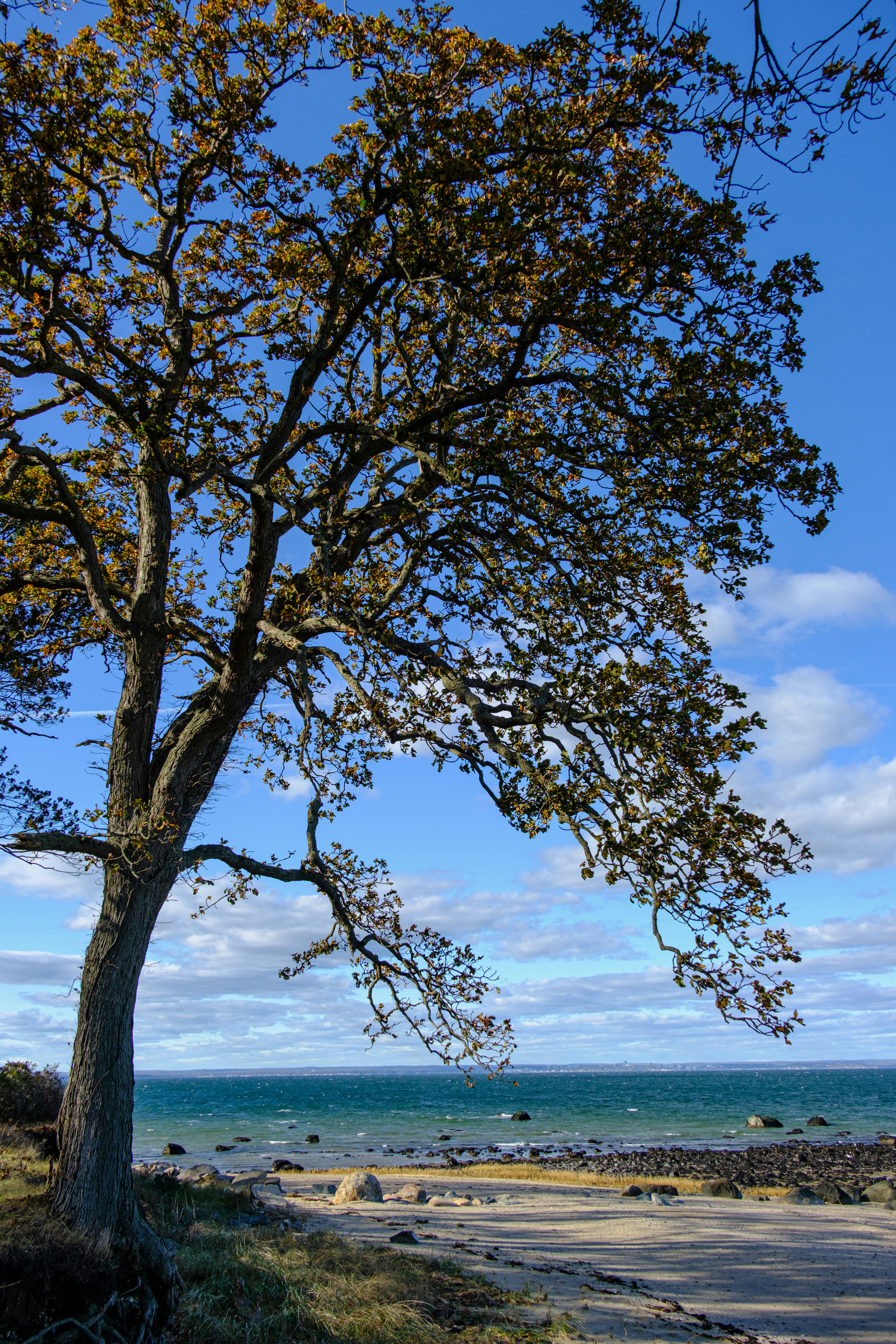 Photo by MICHAEL CHIARA with Fujifilm X-H2S