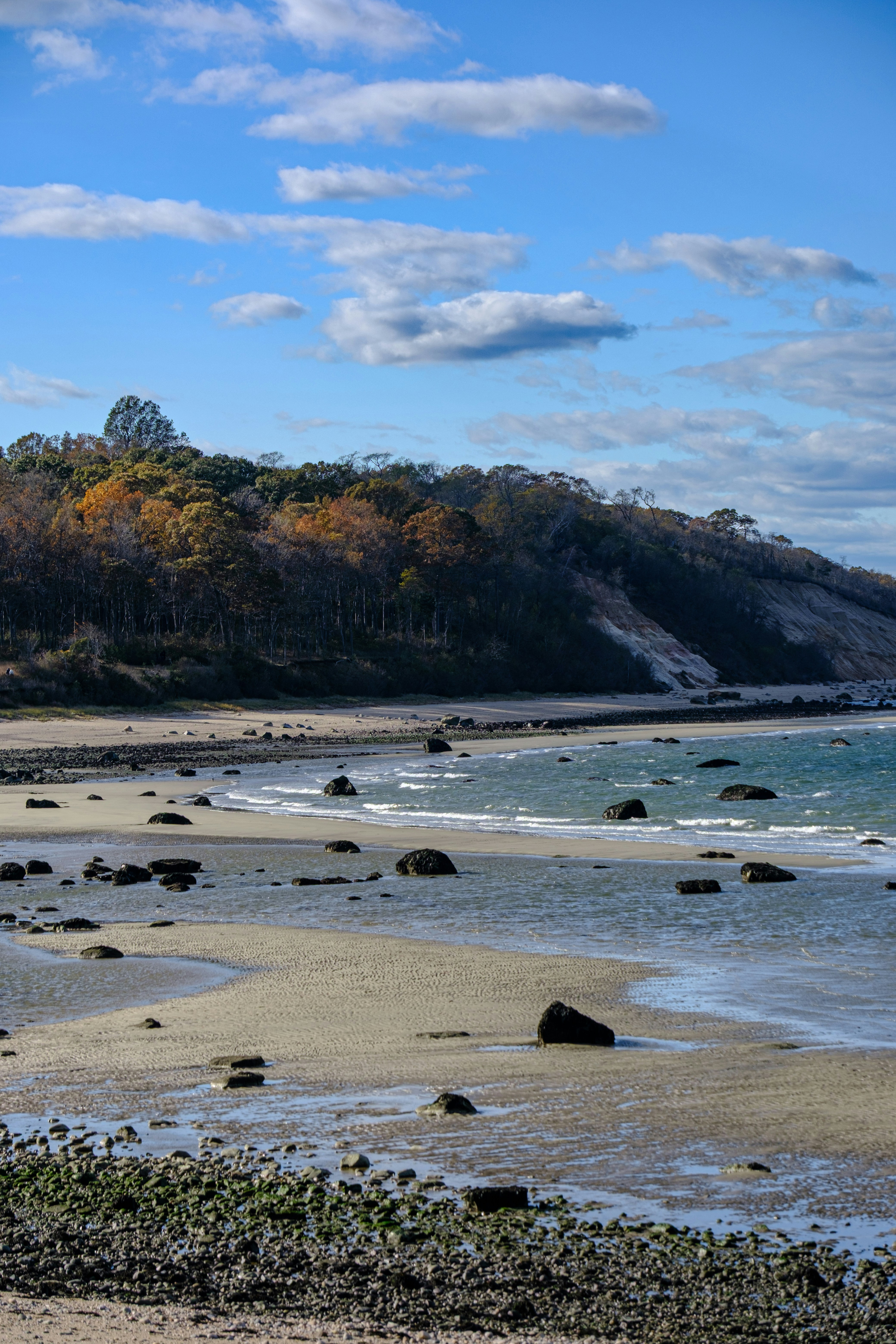 Photo by MICHAEL CHIARA with Fujifilm X-H2S