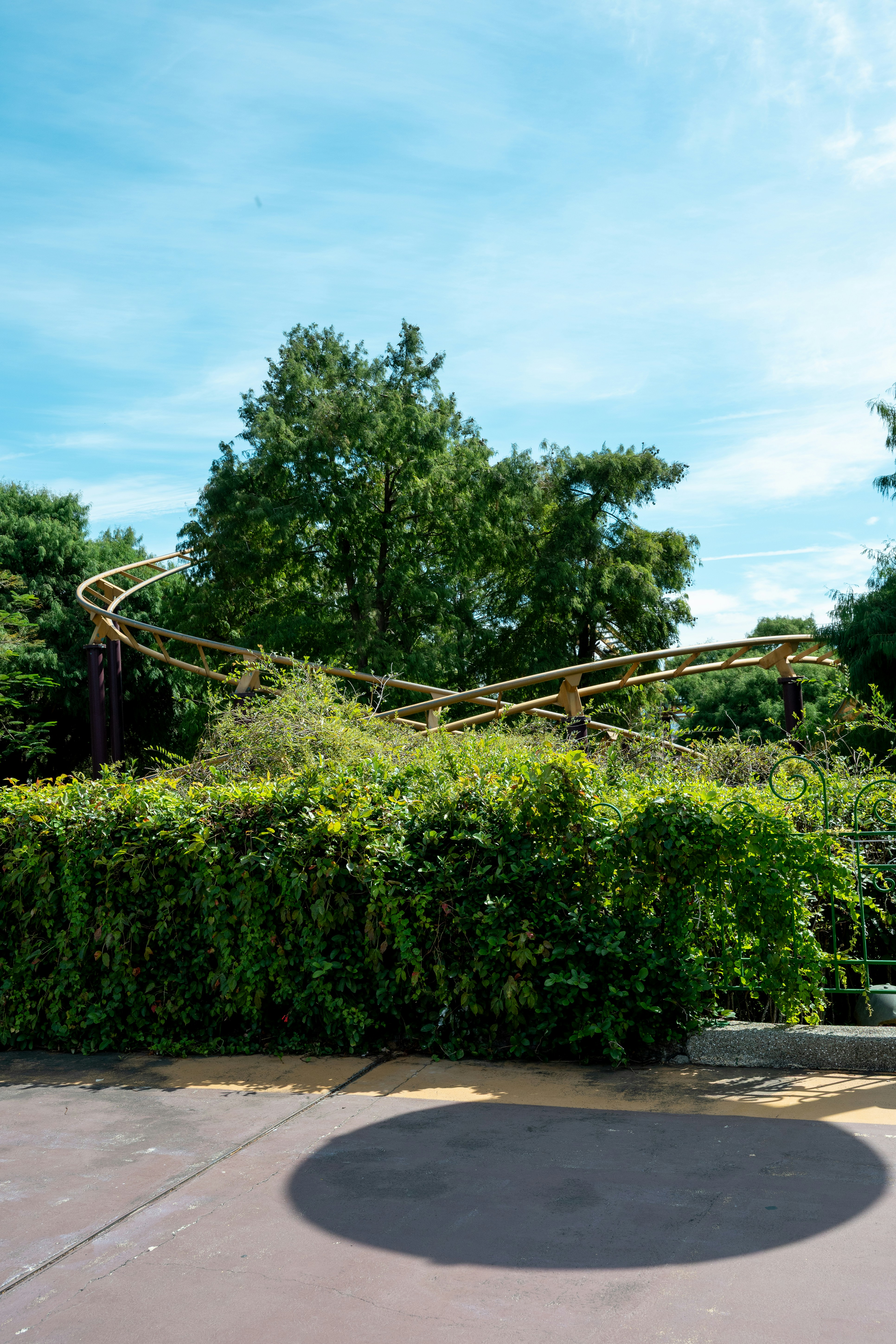 Golden Rails Over the Hedge: A Park's Hidden Loop