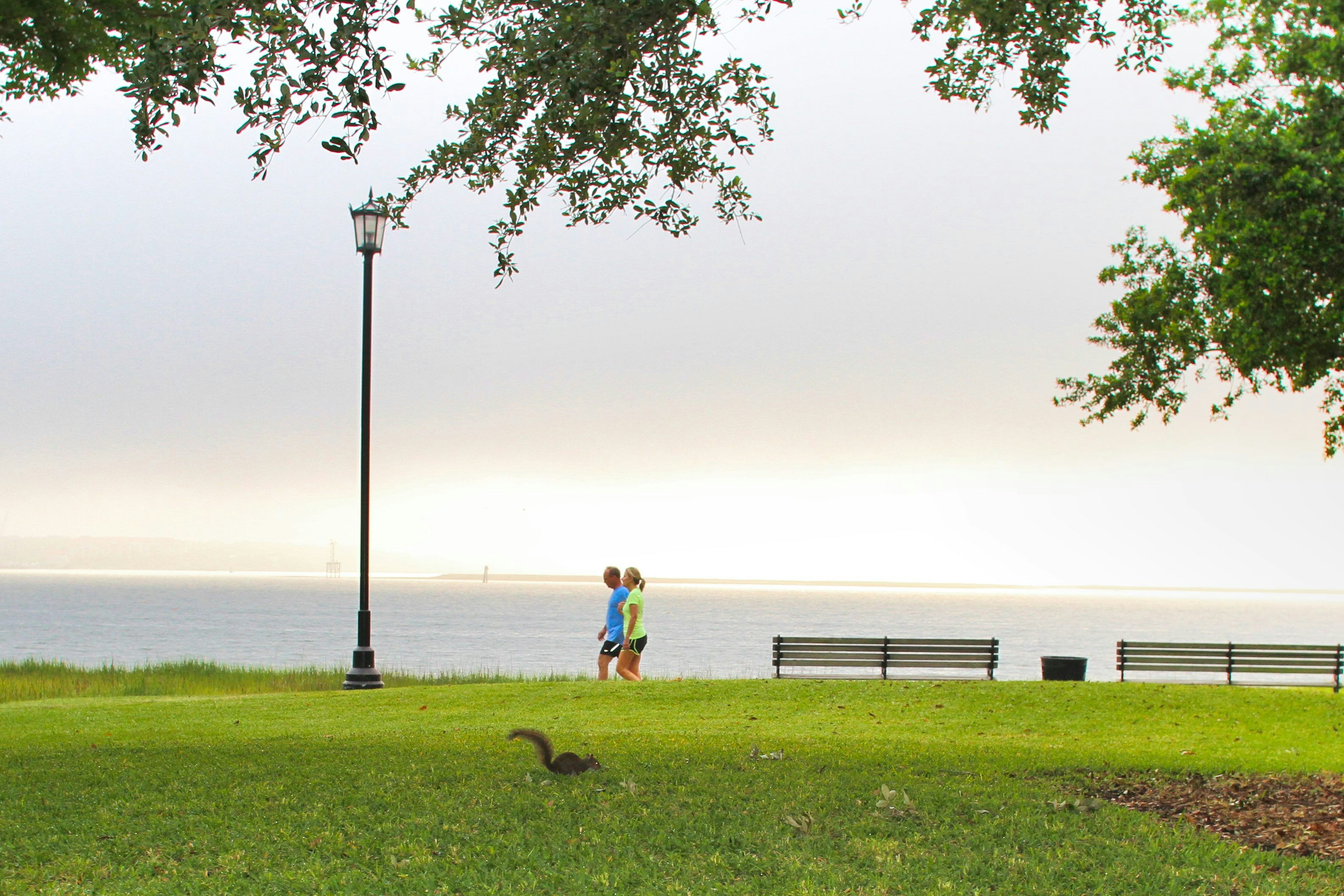 Photo by Marc Snailum with Canon EOS 7D