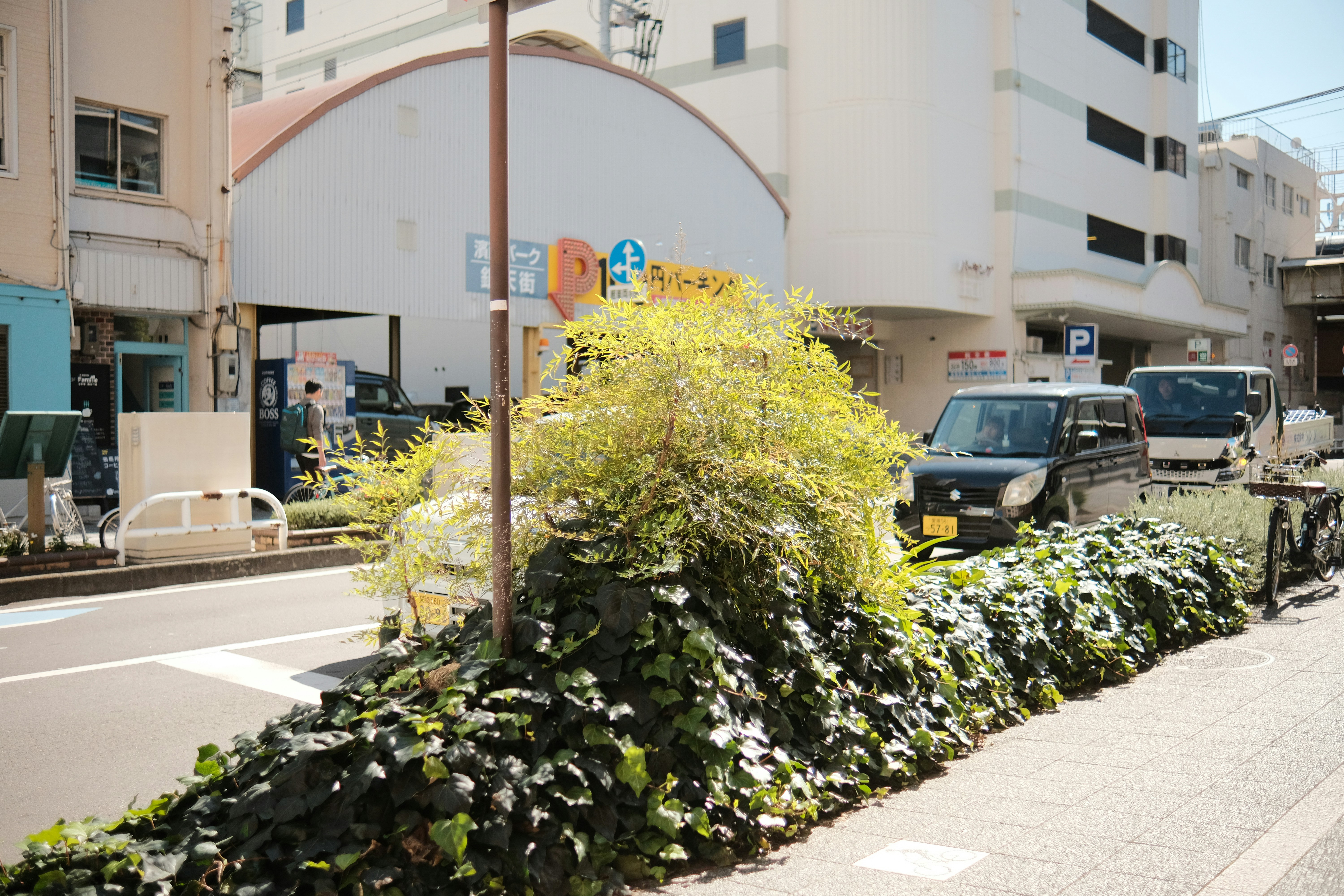 Photo by MAK with Fujifilm X-H1