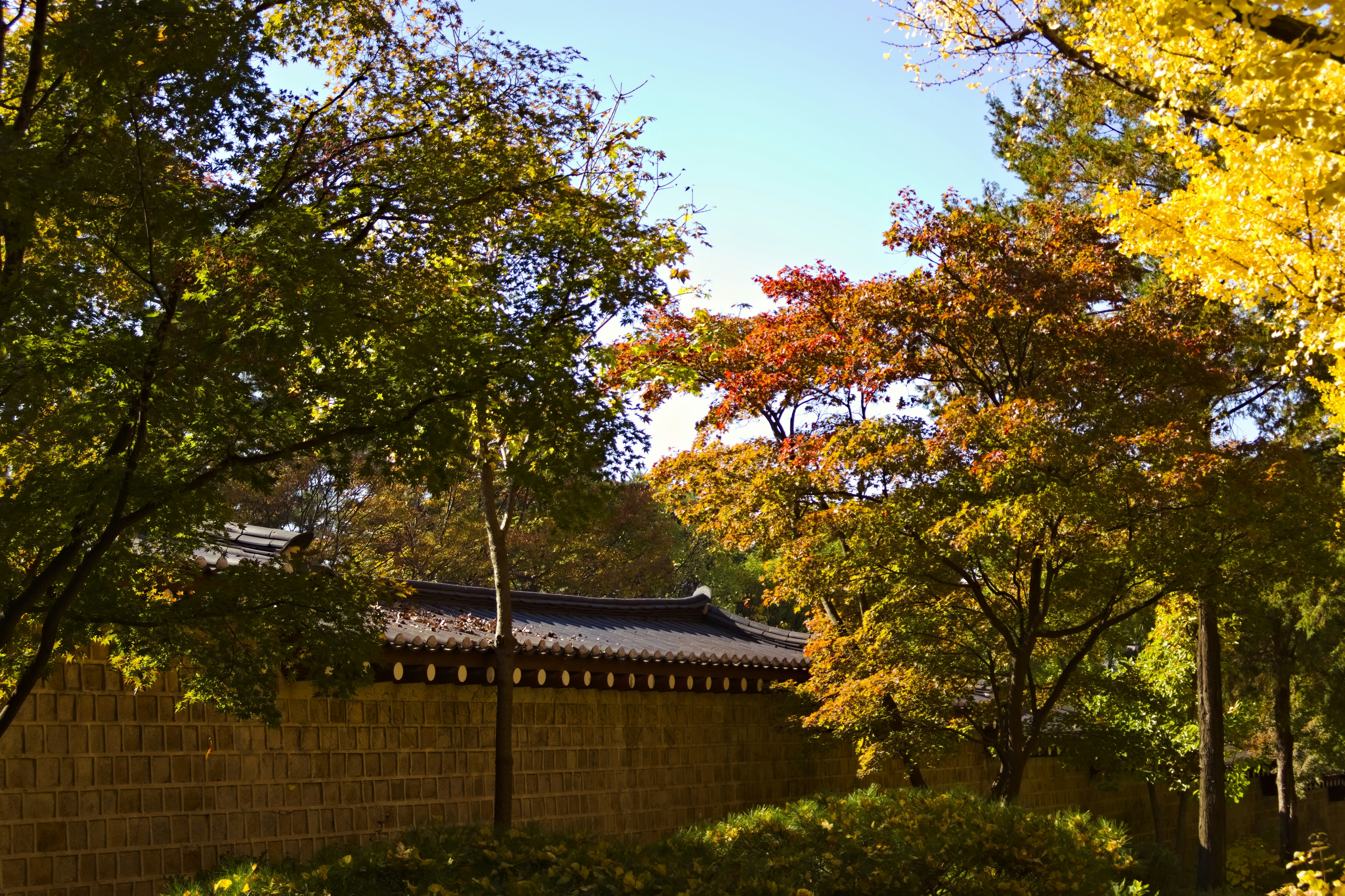 Photo by Rina Kemppainen with Canon EOS R50