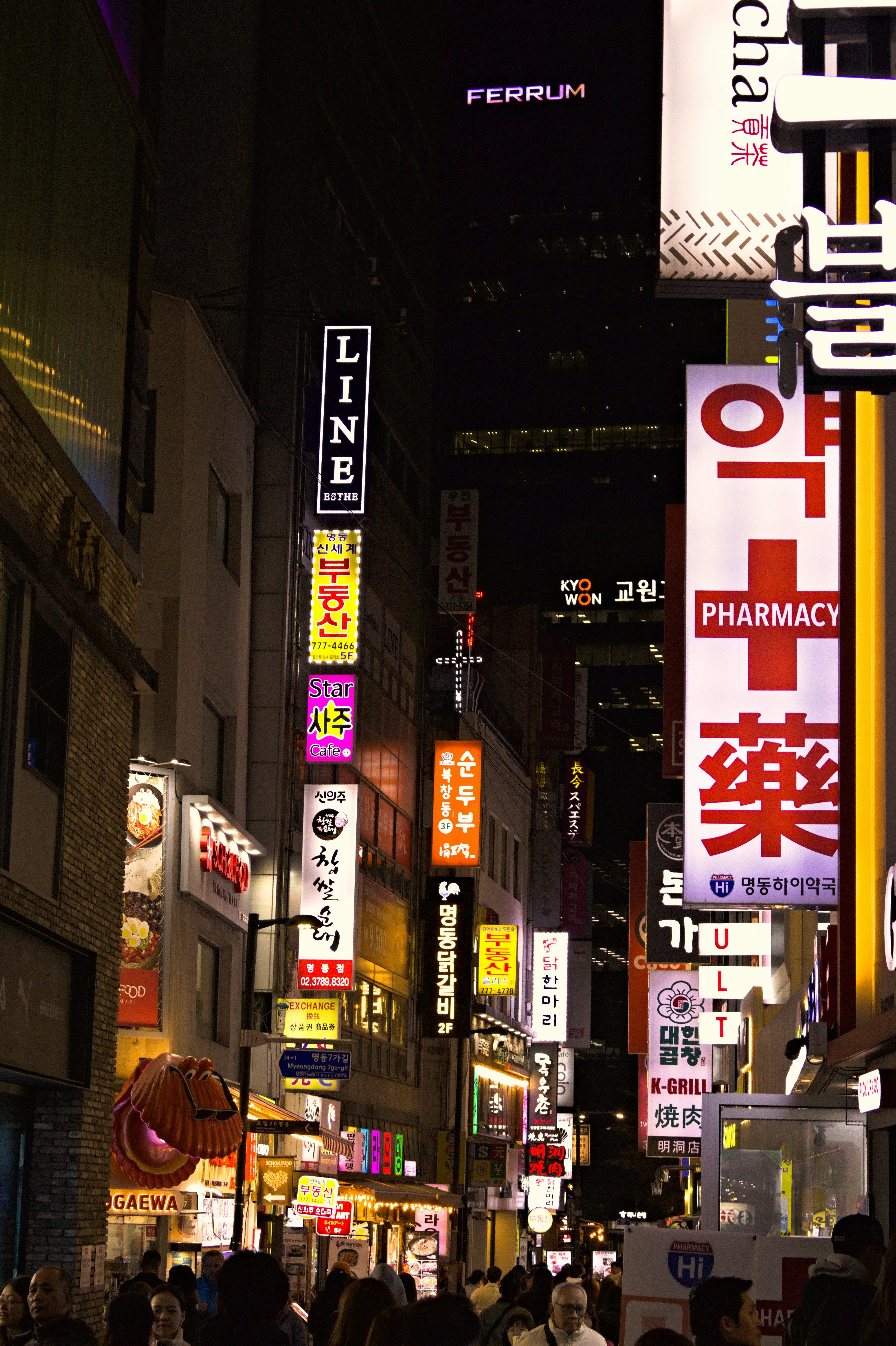 Photo by Rina Kemppainen with Canon EOS R50