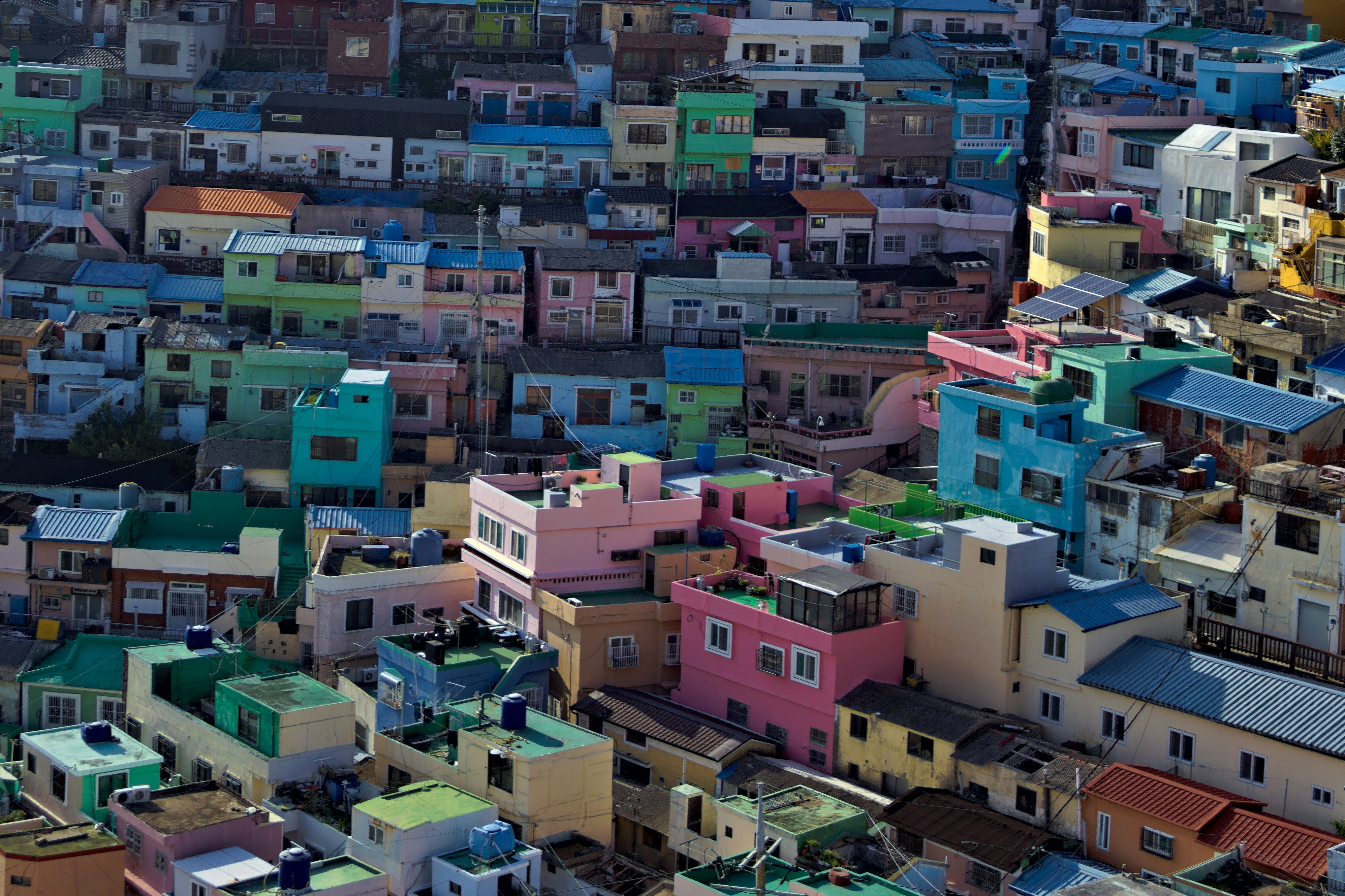 Photo by Rina Kemppainen with Canon EOS R50