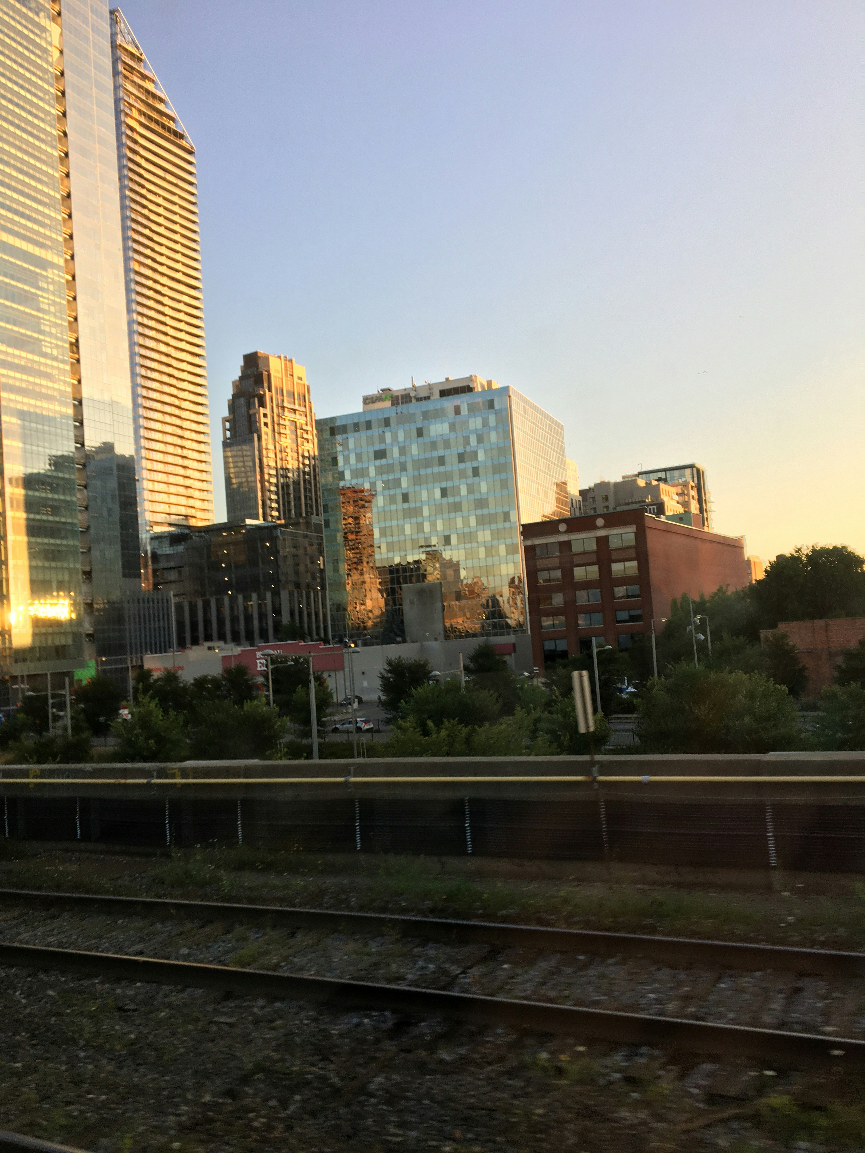 Ollie Johnson (@birbs) | Unsplash Photo Community