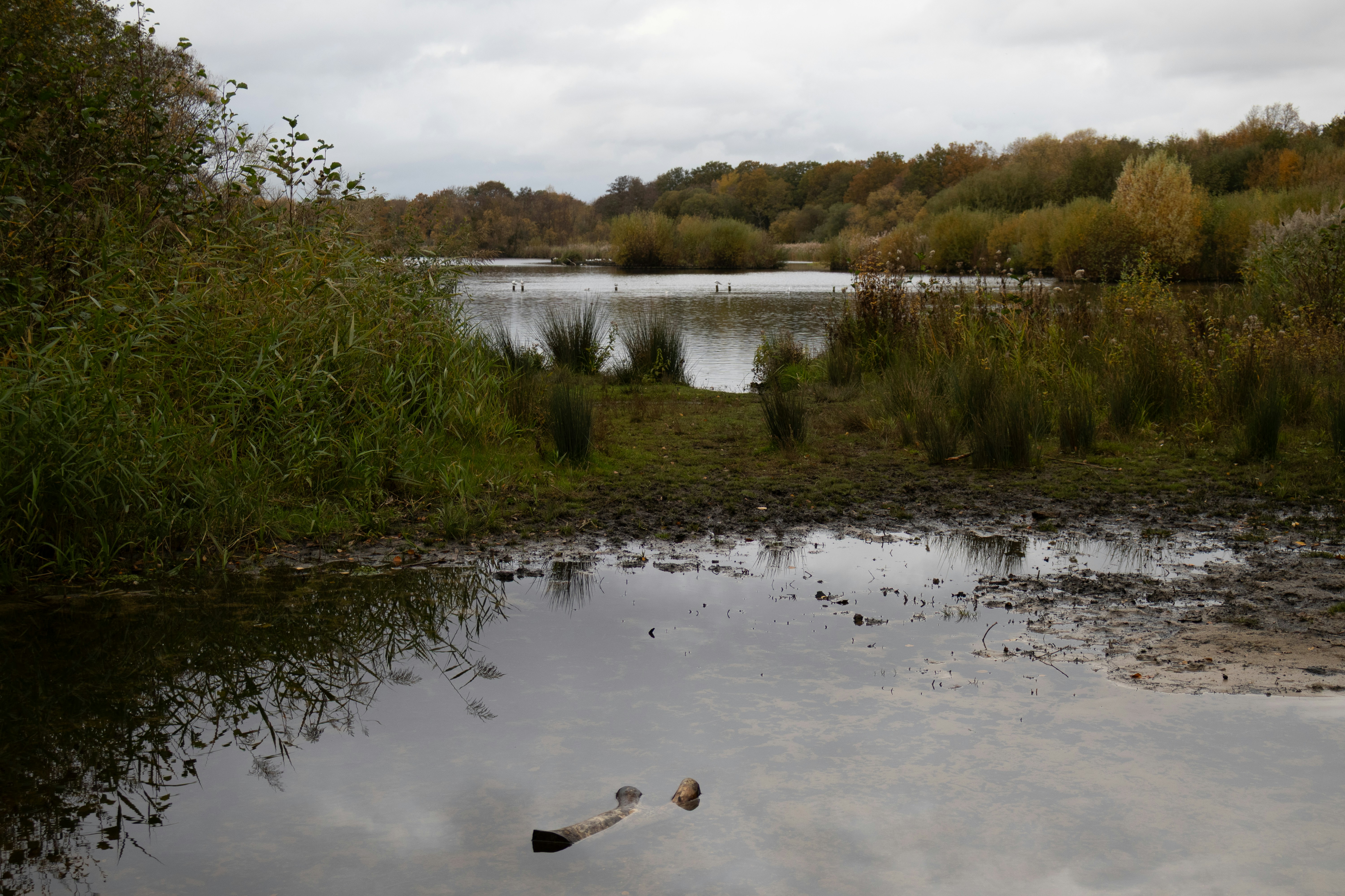 Photo by Tanya Barrow with Canon EOS R50