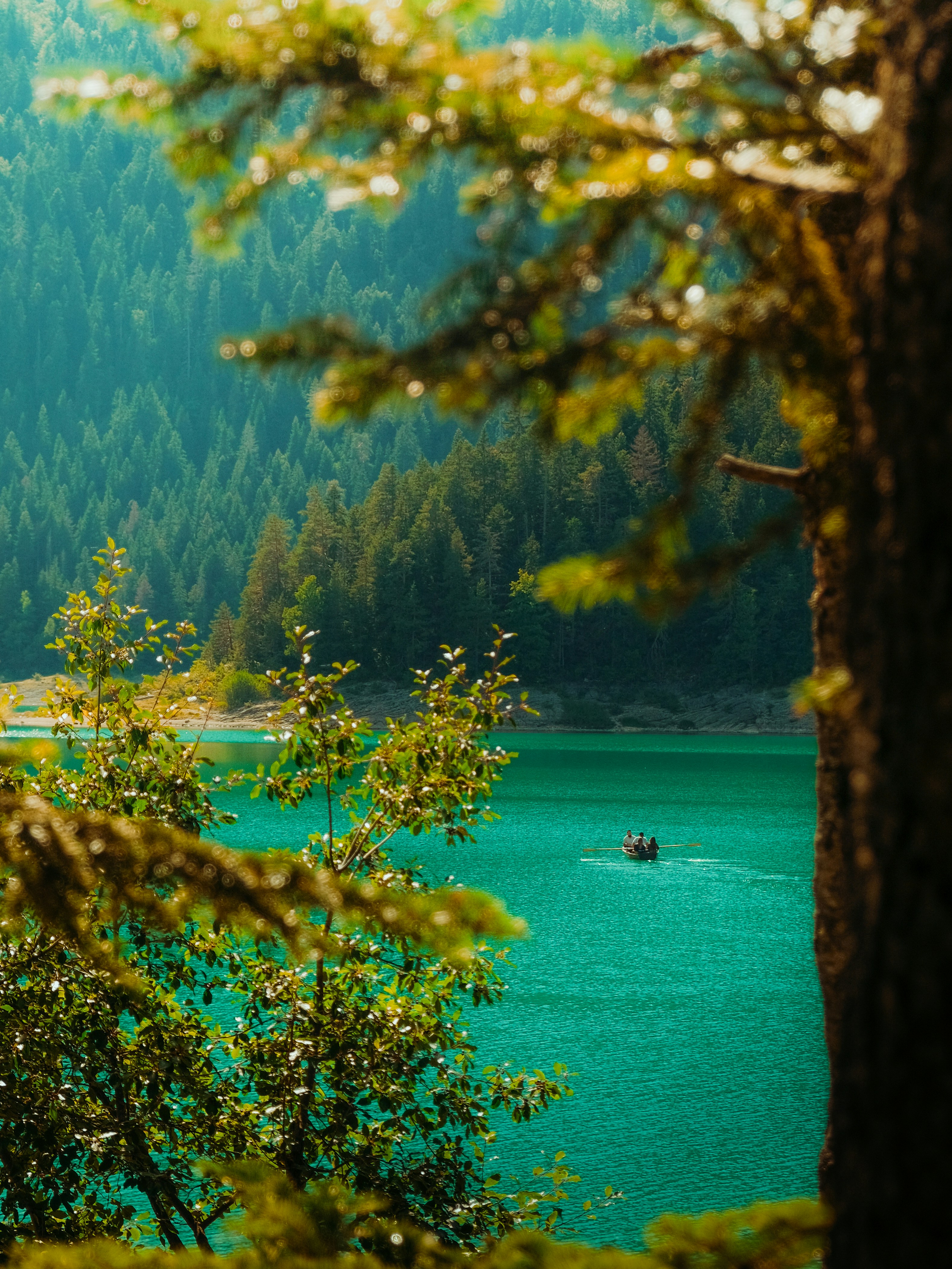 Emerald Lake Through Framed Pines: A Quiet Boat on Turquoise Water