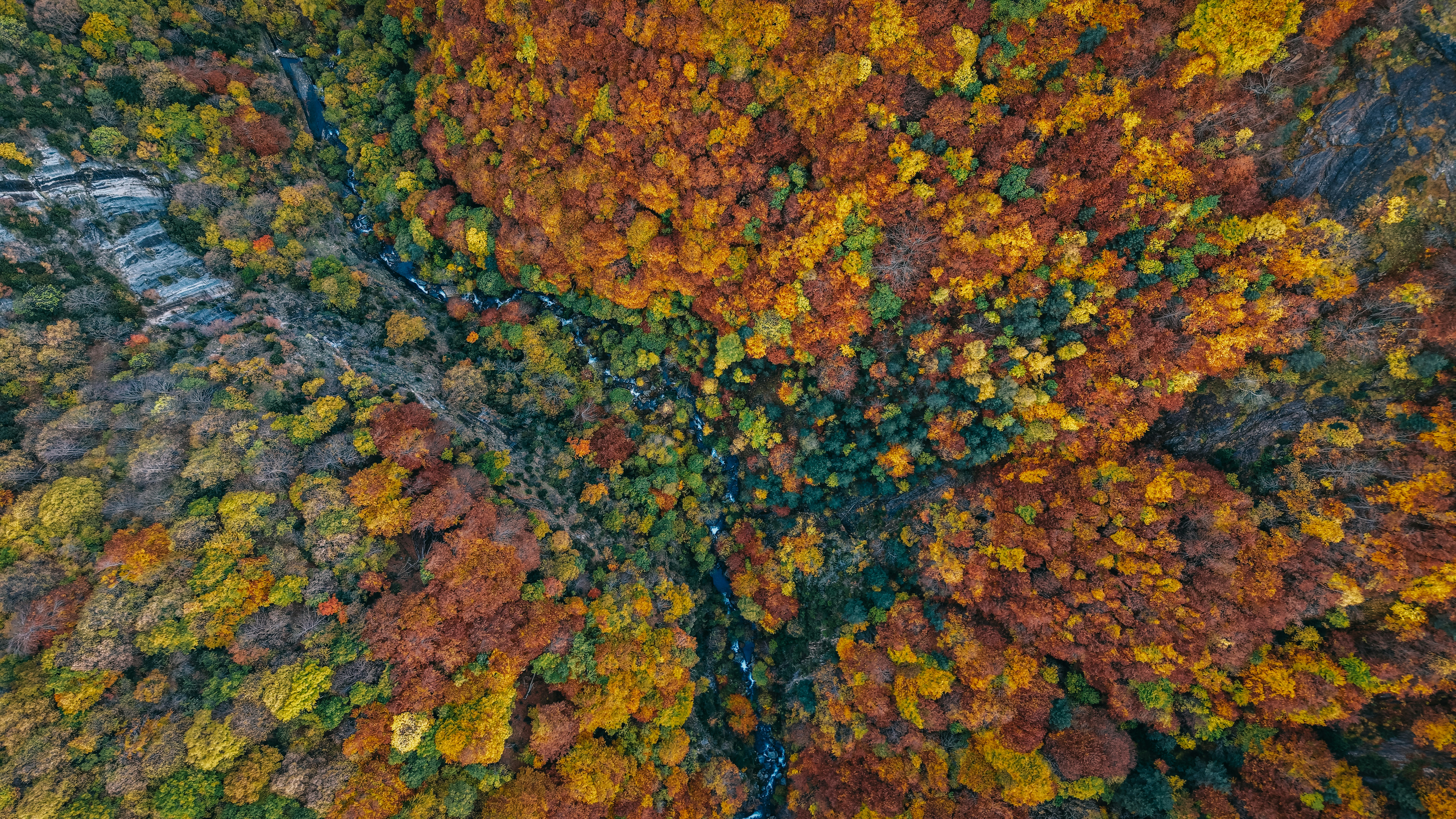 Sample photo from DJI Mini 5 Pro