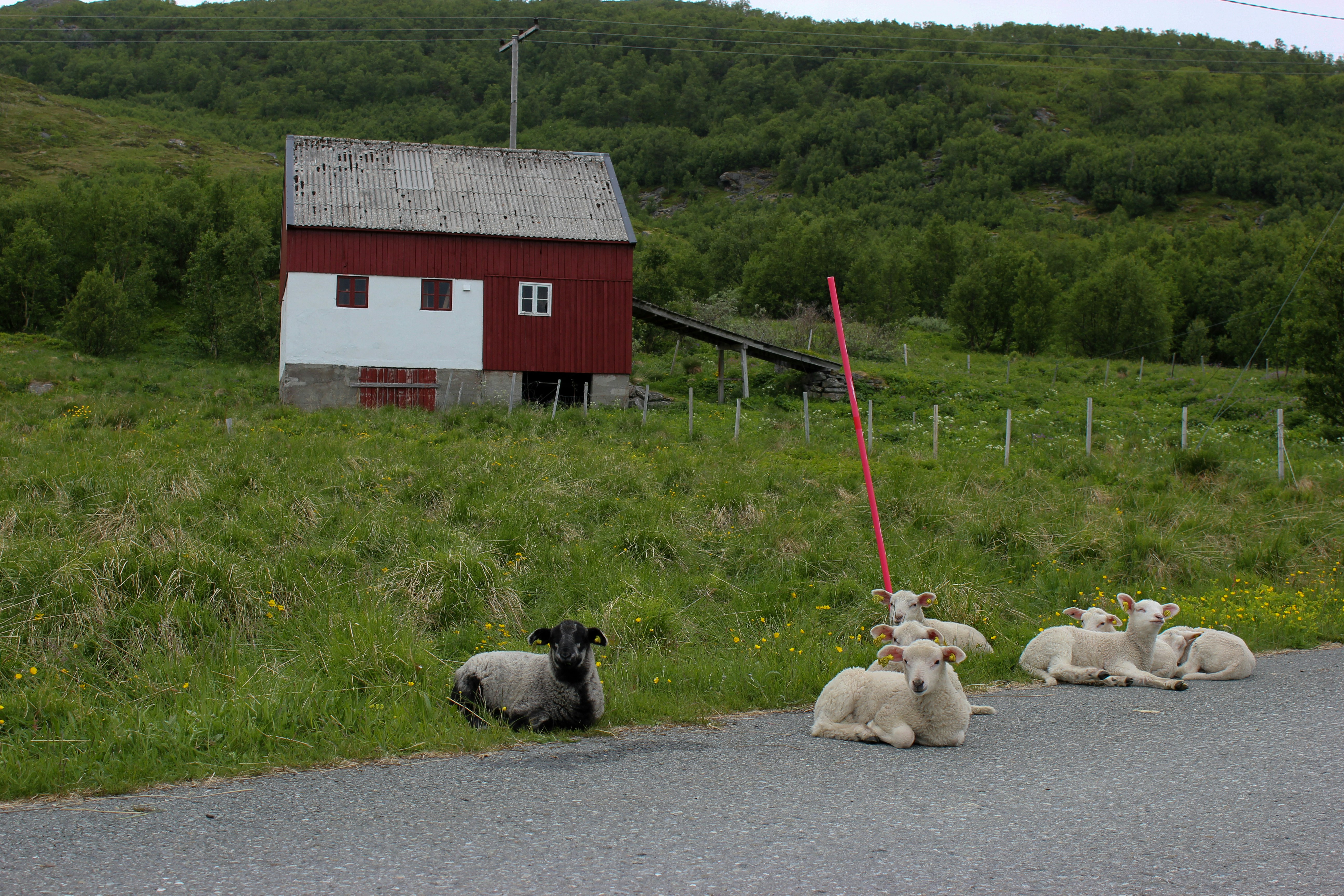 Barn on Vengsøy, Troms, Norway