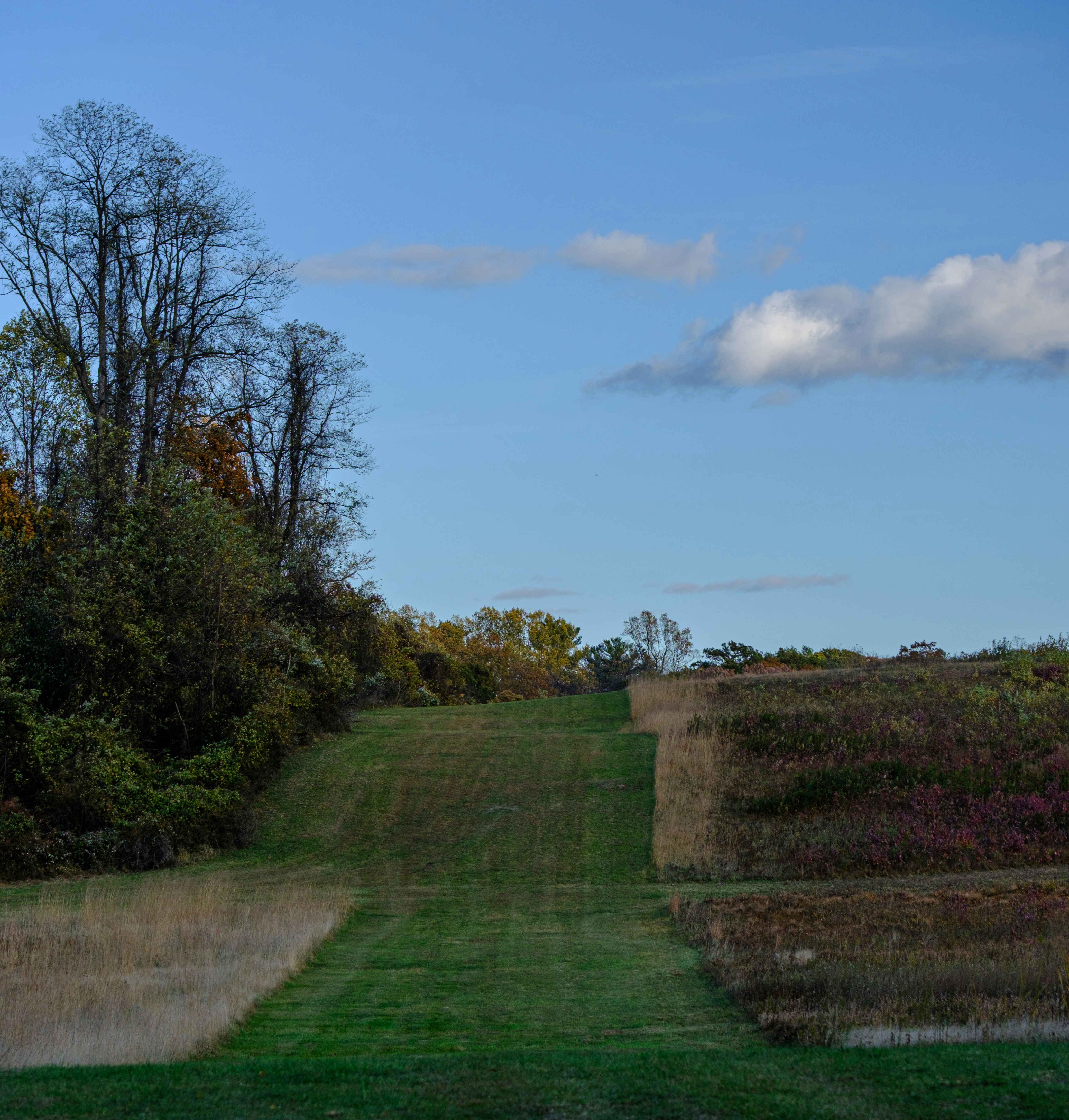 Pastoral Ascent: Velvet Path to a Quiet Horizon