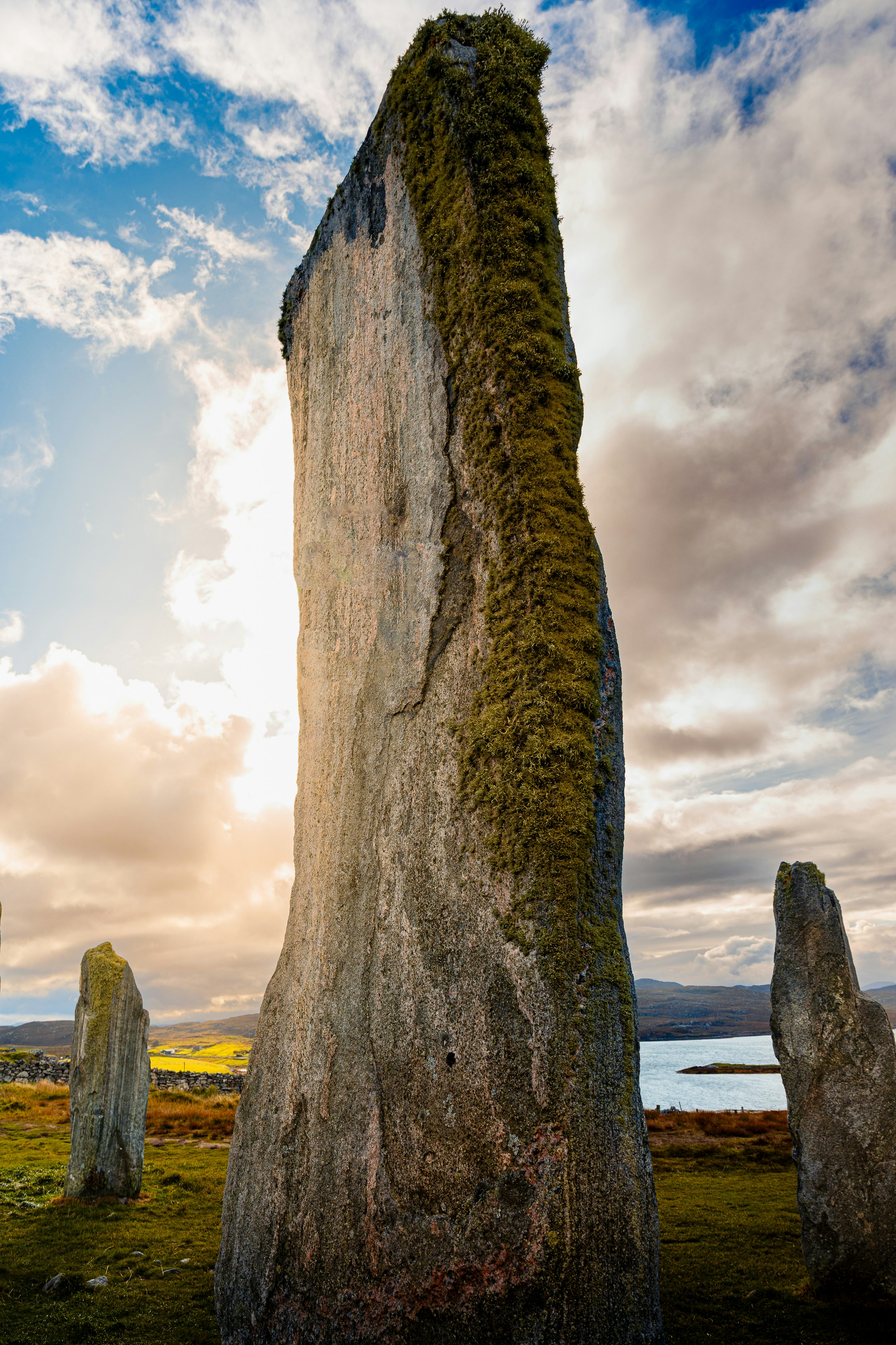 Andie Parker Jones (@andie_parker_jones) | Komunitas Foto Unsplash