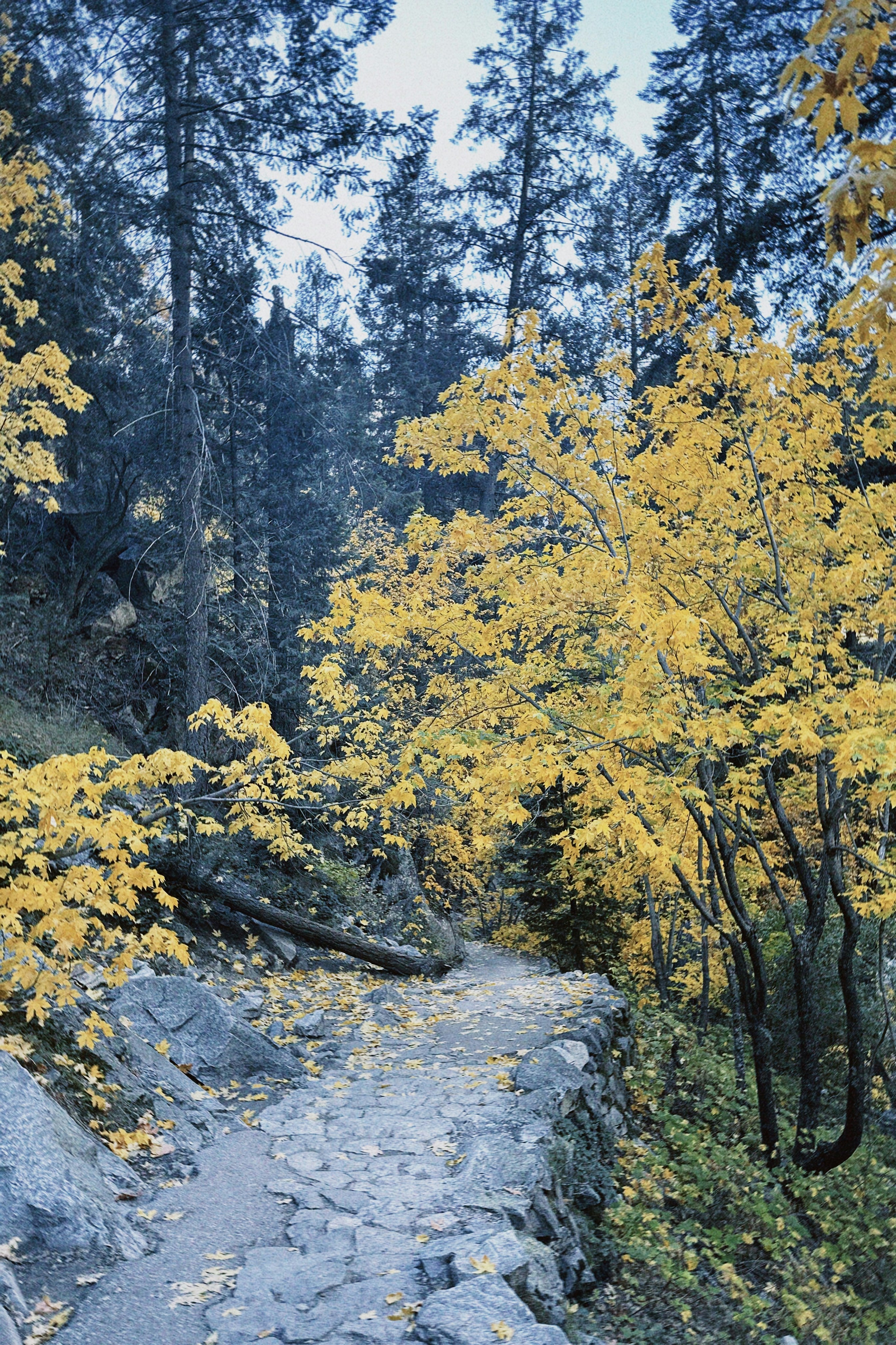 Photo by Christopher Stites with Apple iPhone 14 Pro Max