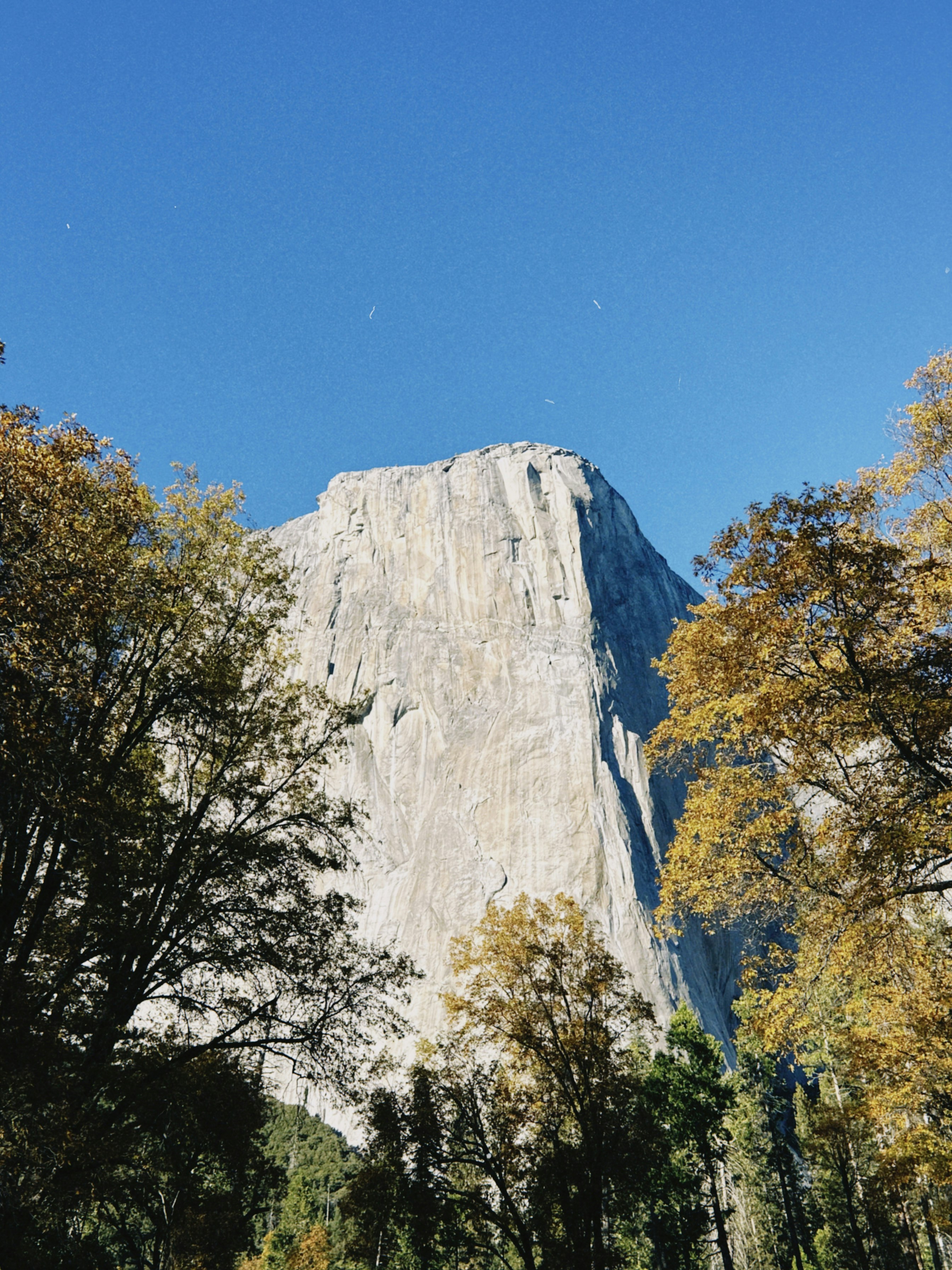 Half Dome in Clear Autumn Light: Trees Framing a Granite Colossus