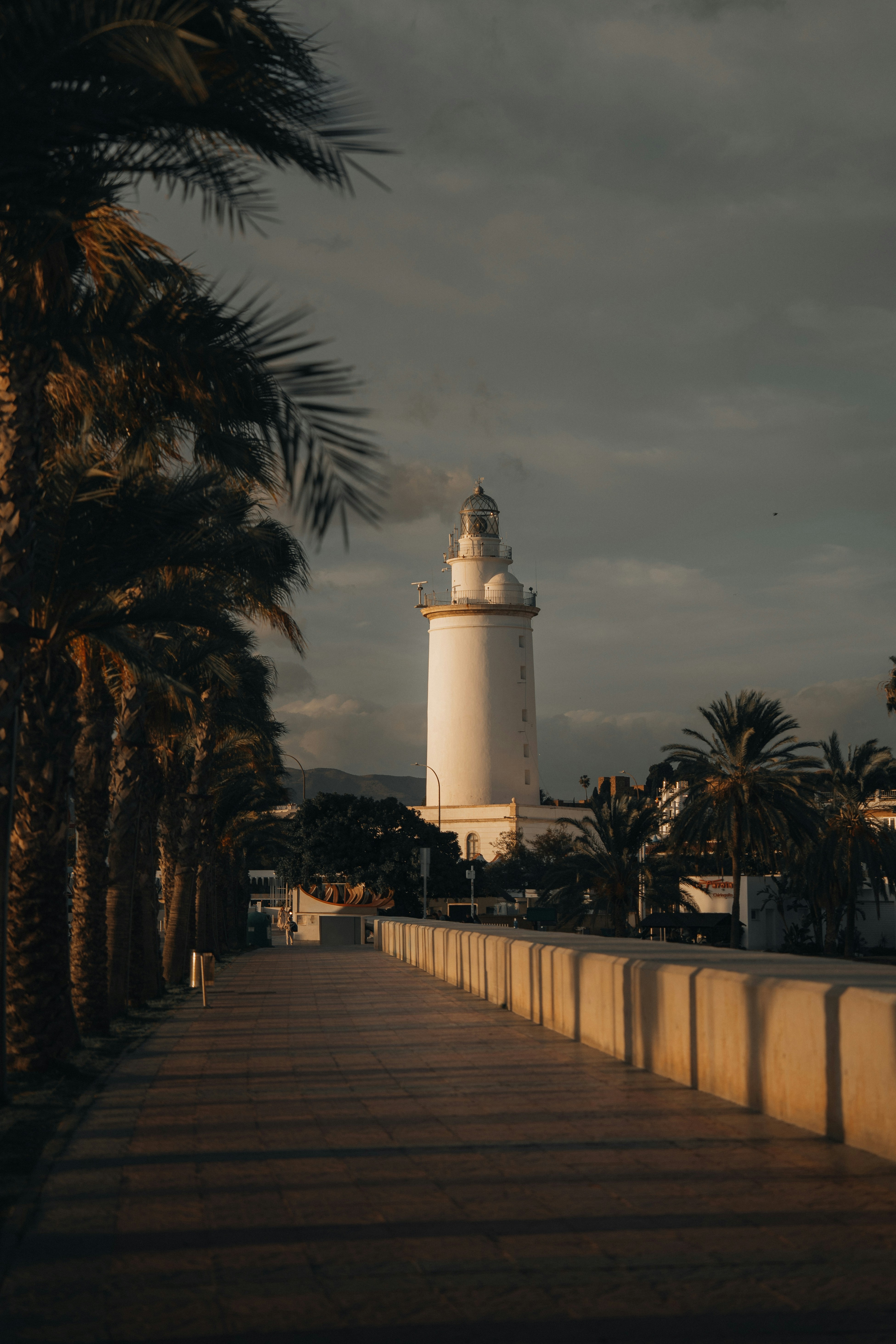 Photo by Andrei R. Popescu with Sony Alpha 7 III